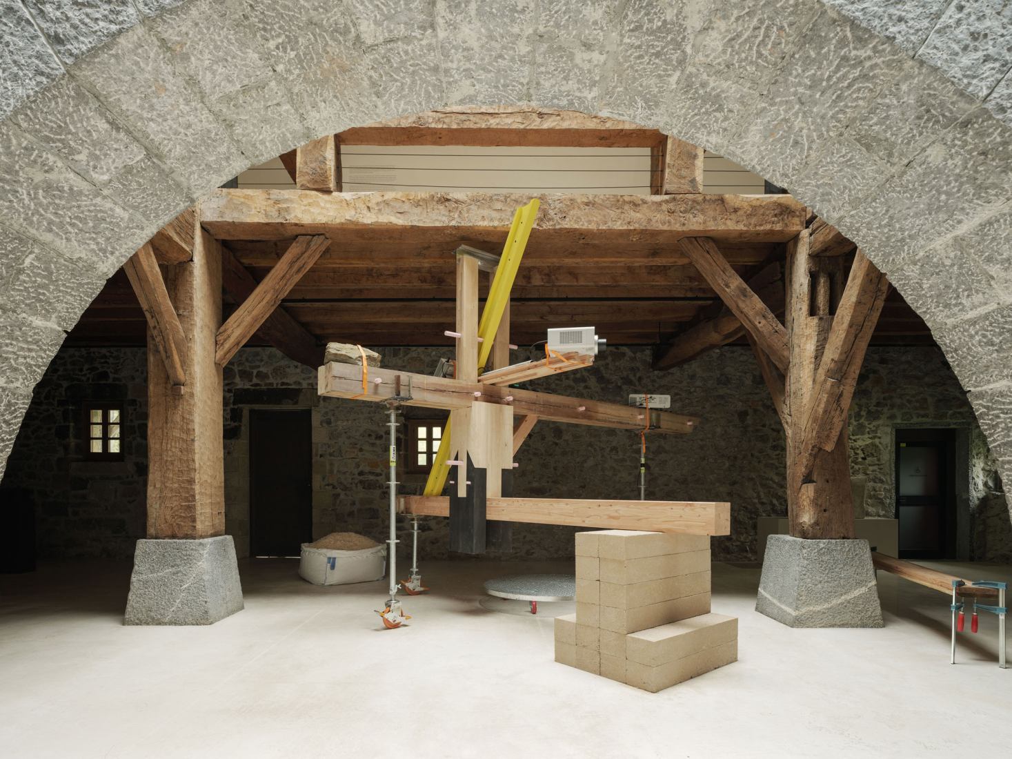 A rhizomatic idea. RHIZOMA by Garbizu Collar Architects, KRI, and Diego ...