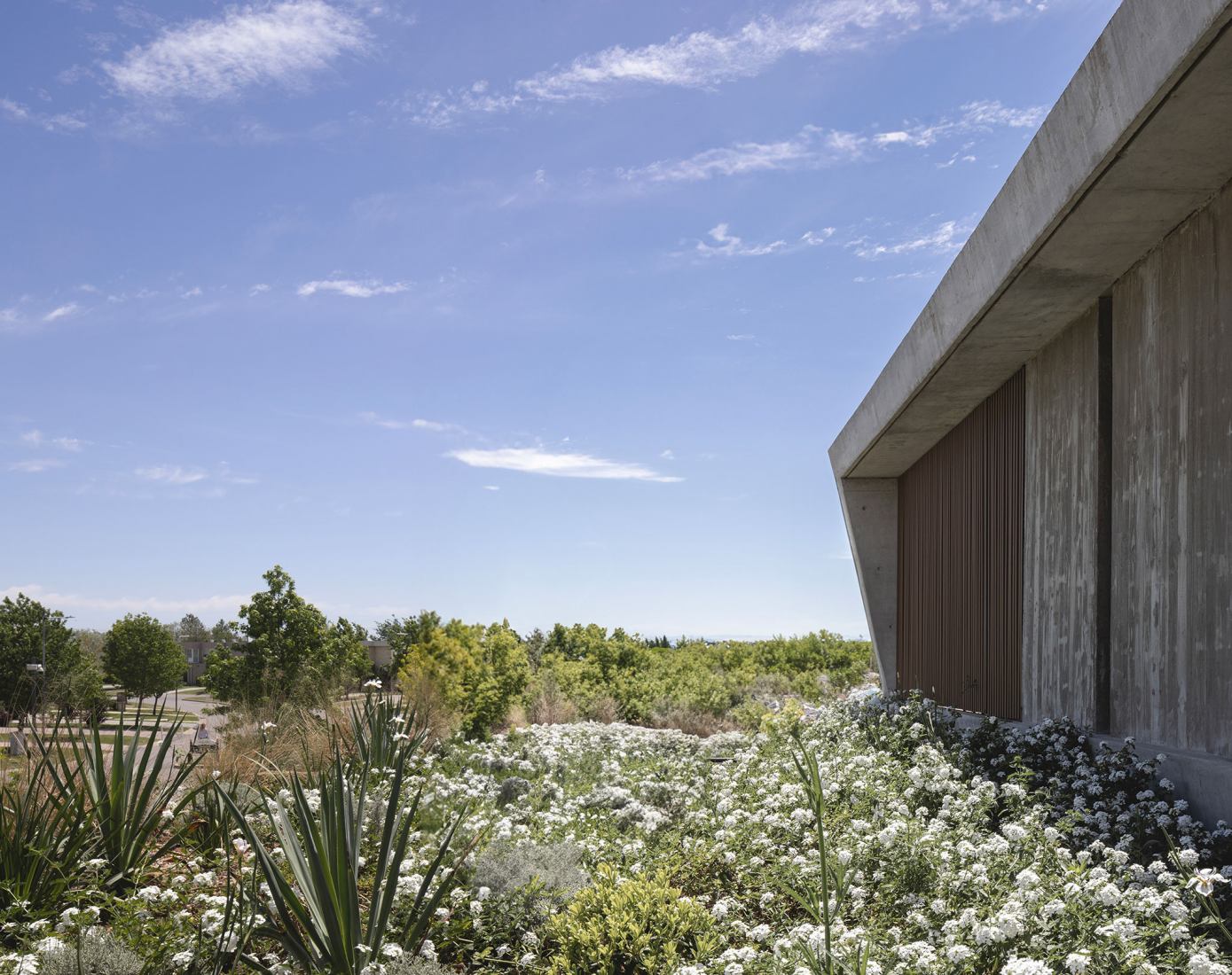 Light as the main material. TAMIZ House by Gonzalo Bardach Arquitectura ...