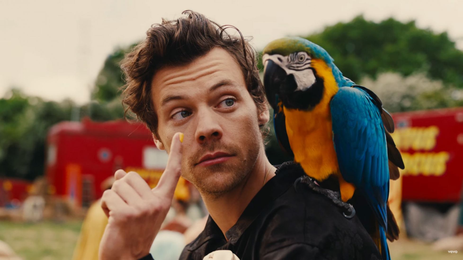 Los colores del circo. Daylight por Harry Styles | Sobre Arquitectura y ...