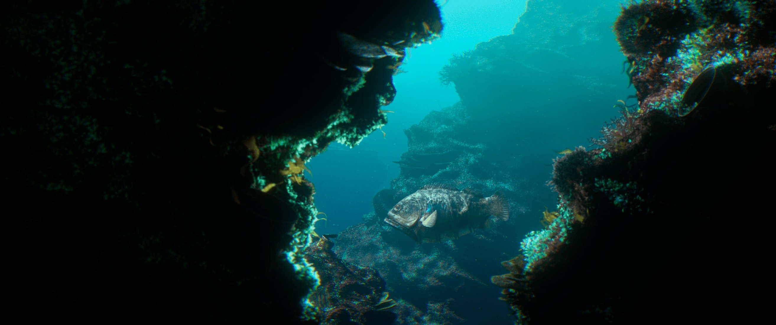 Hybrids. The impact of pollution on the oceans | The Strength of ...