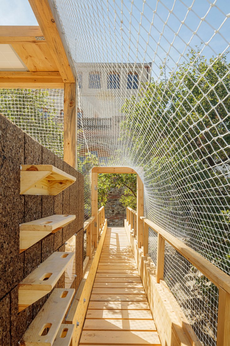 A space for research. FLORA pavilion by IAAC | The Strength of ...