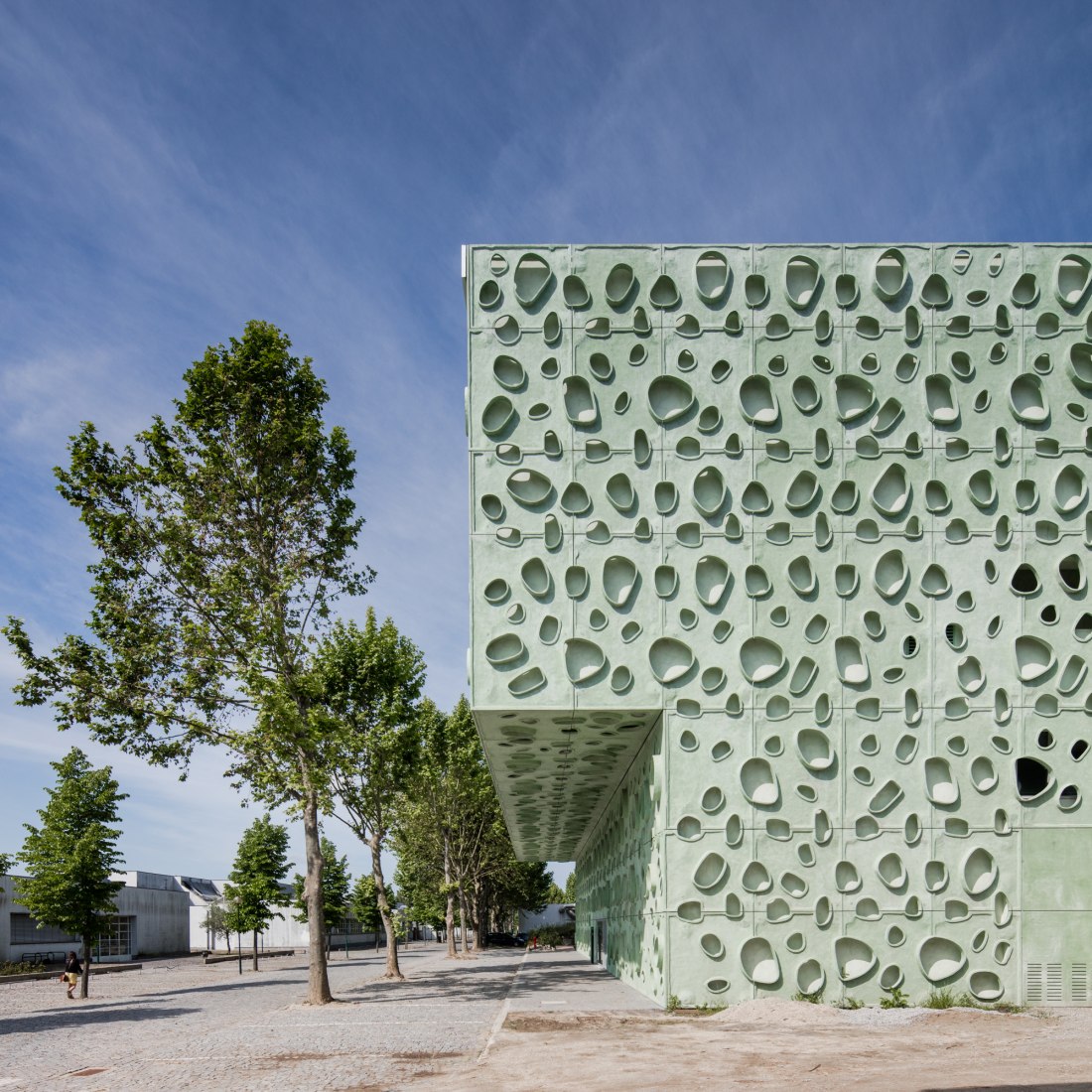 IBS - Institute of Science and Innovation for Bio-Sustainability | The ...