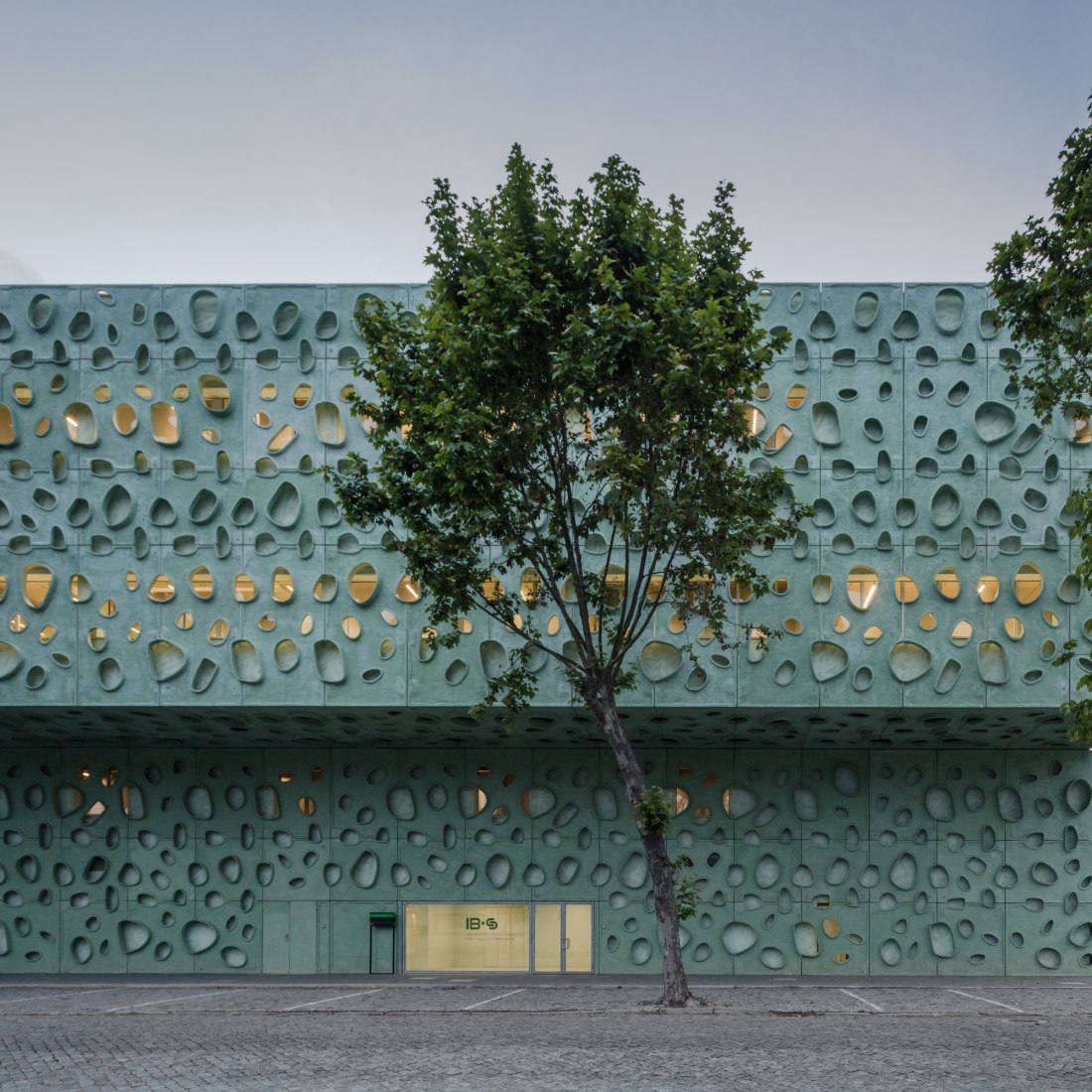 IBS - Institute of Science and Innovation for Bio-Sustainability | The ...