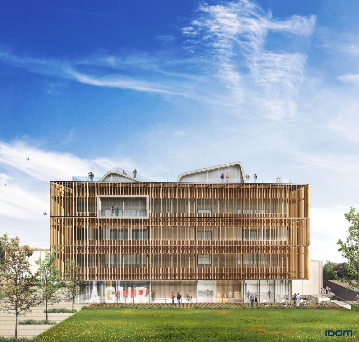 A window into the forest. AGUR company new headquarters by IDOM | The ...
