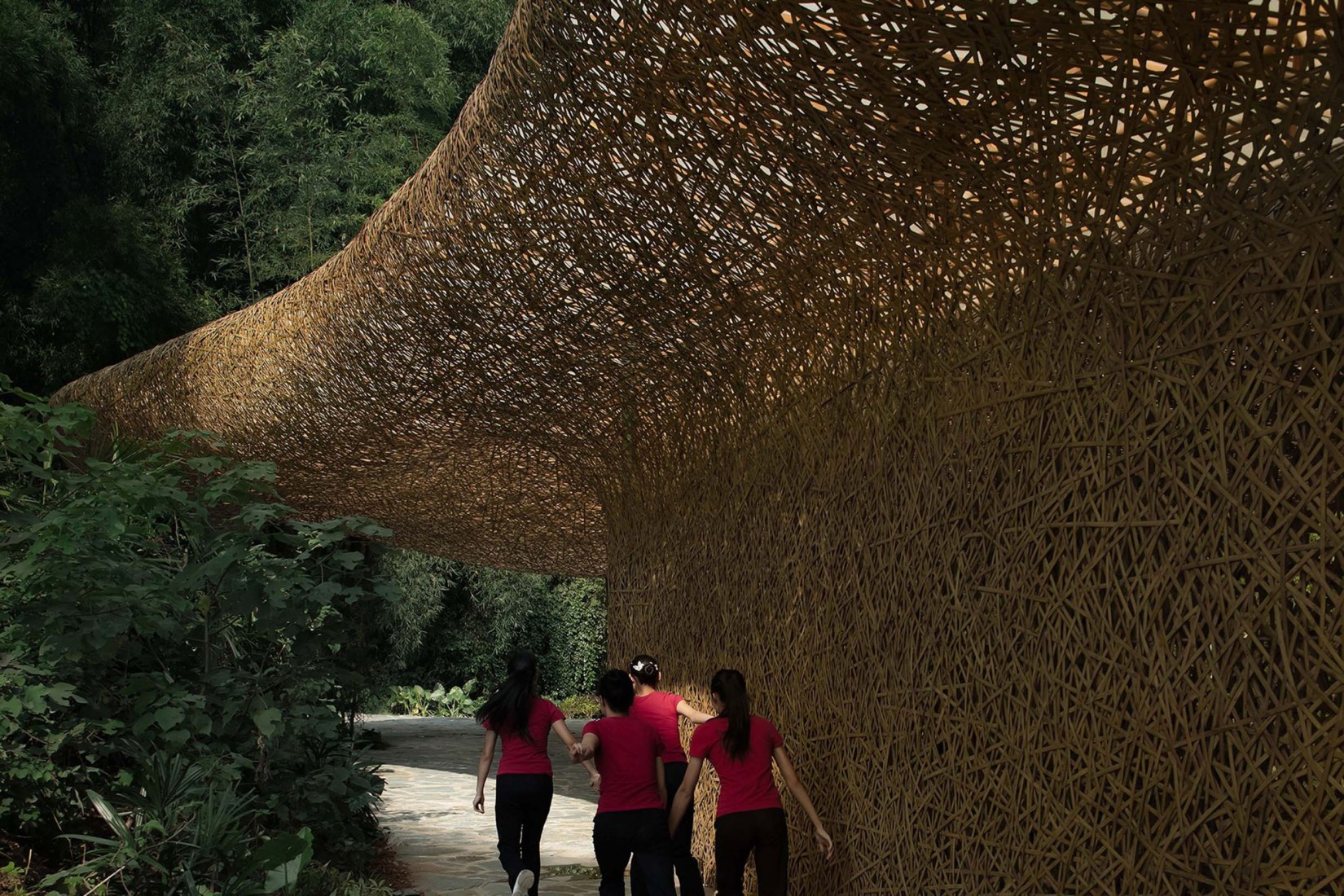 Sifting the light. Bamboo Bamboo, Canopy and Pavilions by llLab. | The ...