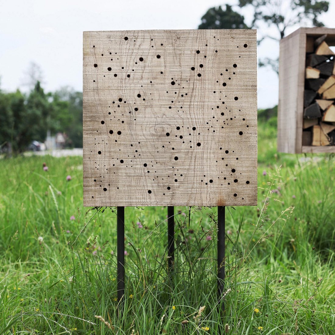 Between the everyday and extraordinary of public art and nature. Insect ...