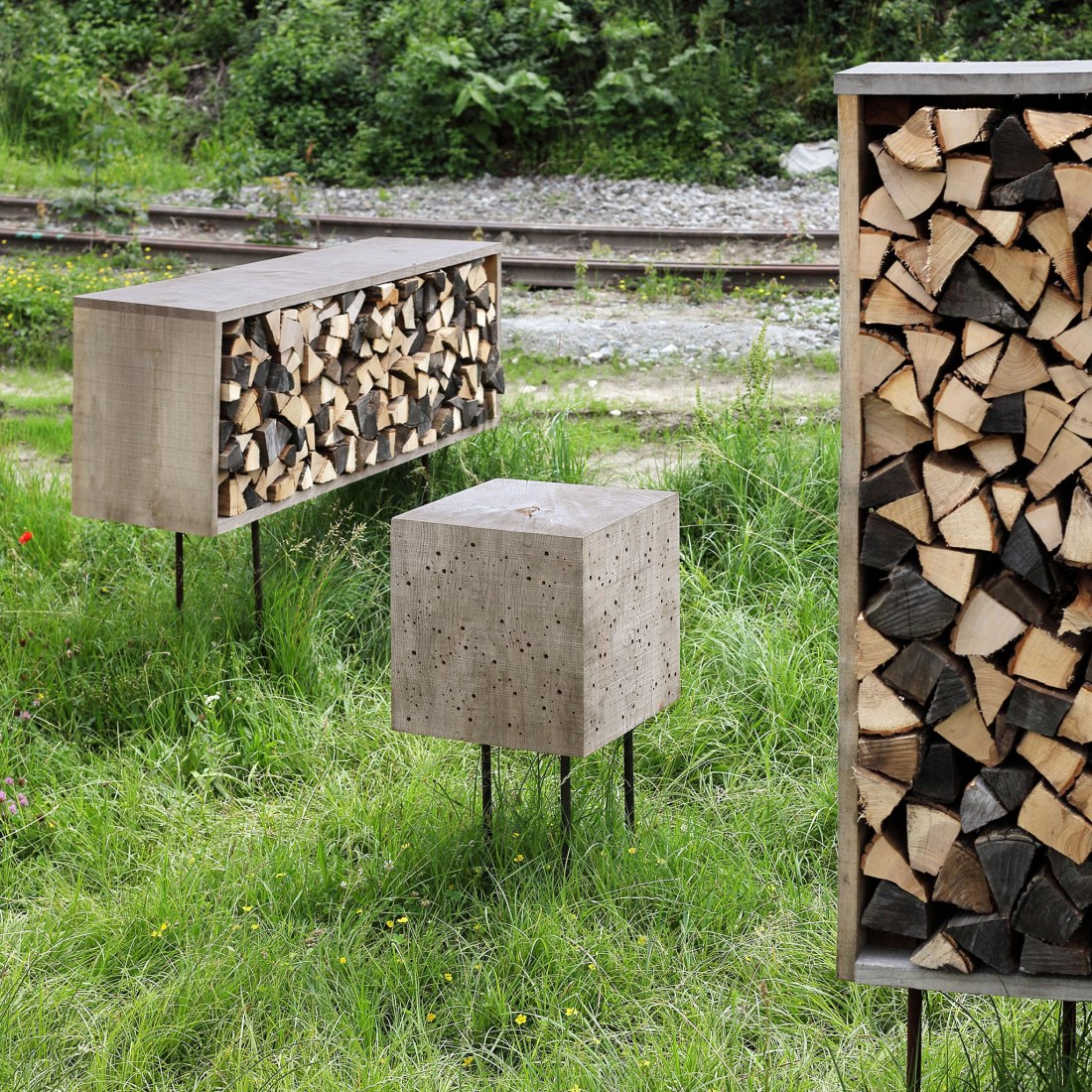 Between the everyday and extraordinary of public art and nature. Insect ...