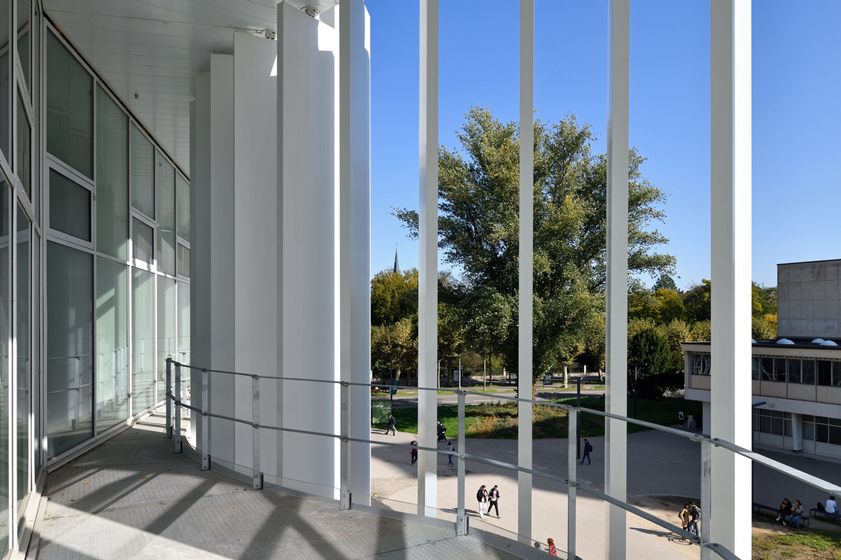 An interior of light. Le Studium learning center by Jean-Pierre Lott ...