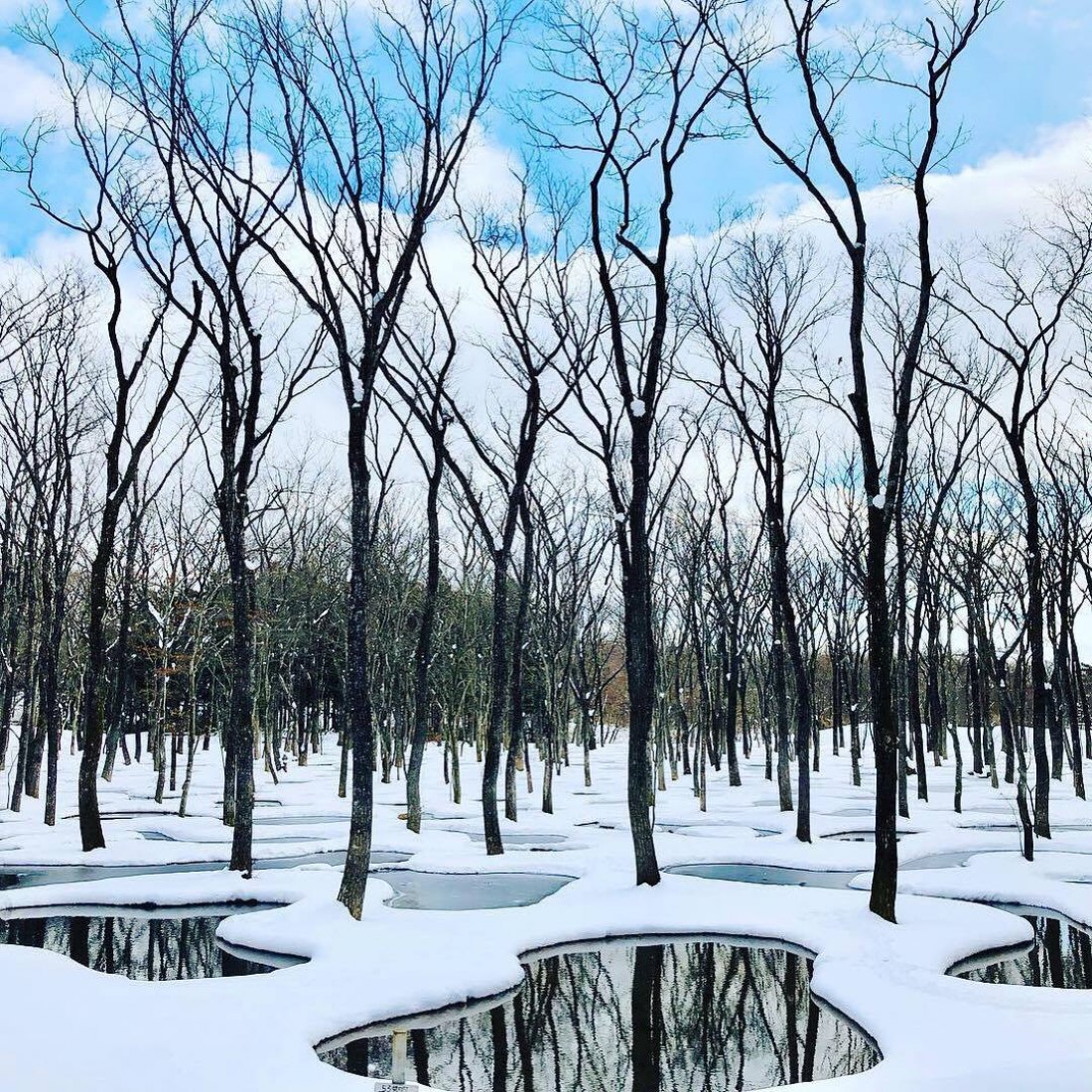 Stunning Japanese Landscape. The Water Garden by Junya Ishigami | The ...