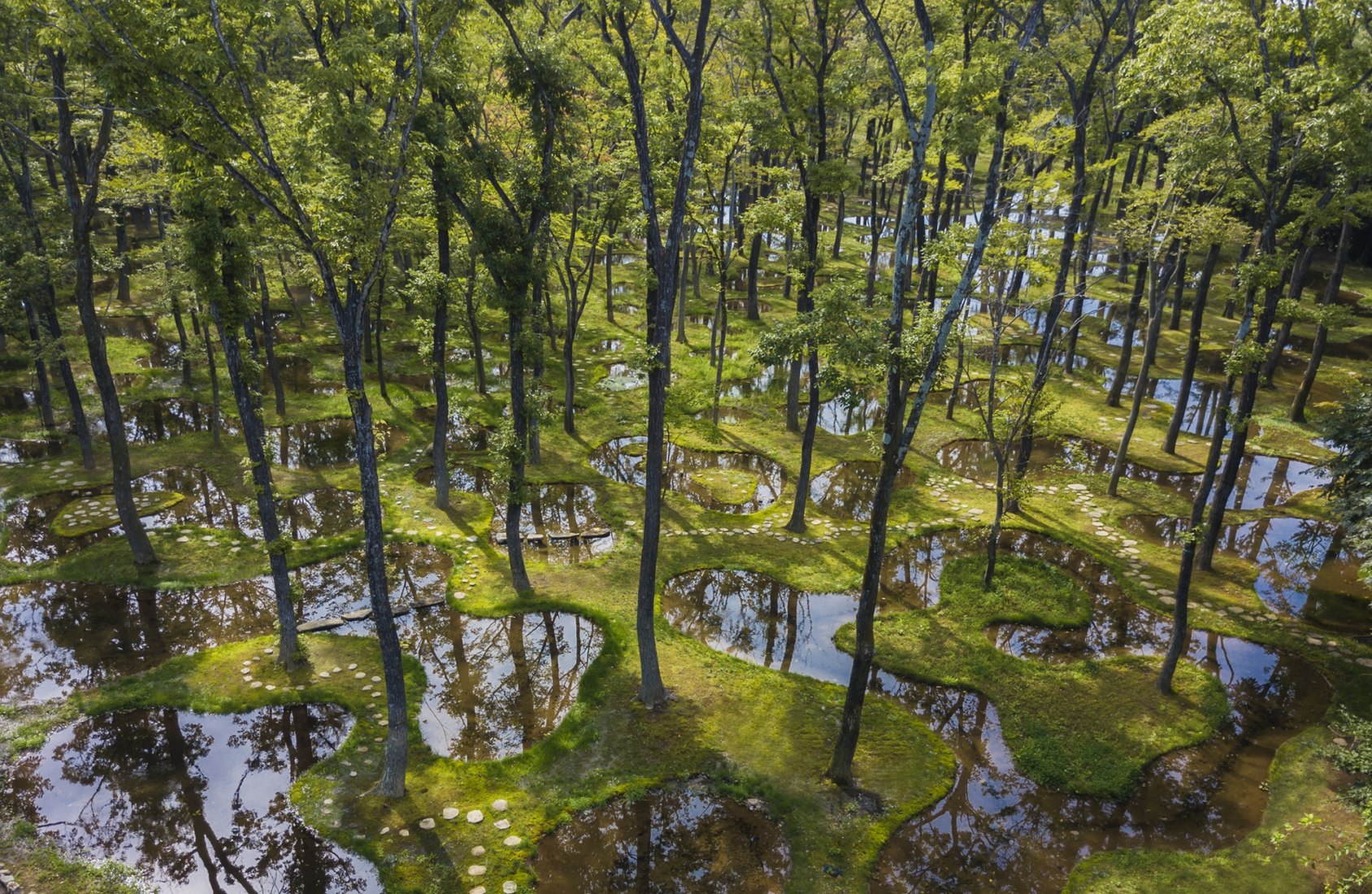 Stunning Japanese Landscape. The Water Garden by Junya Ishigami | The ...