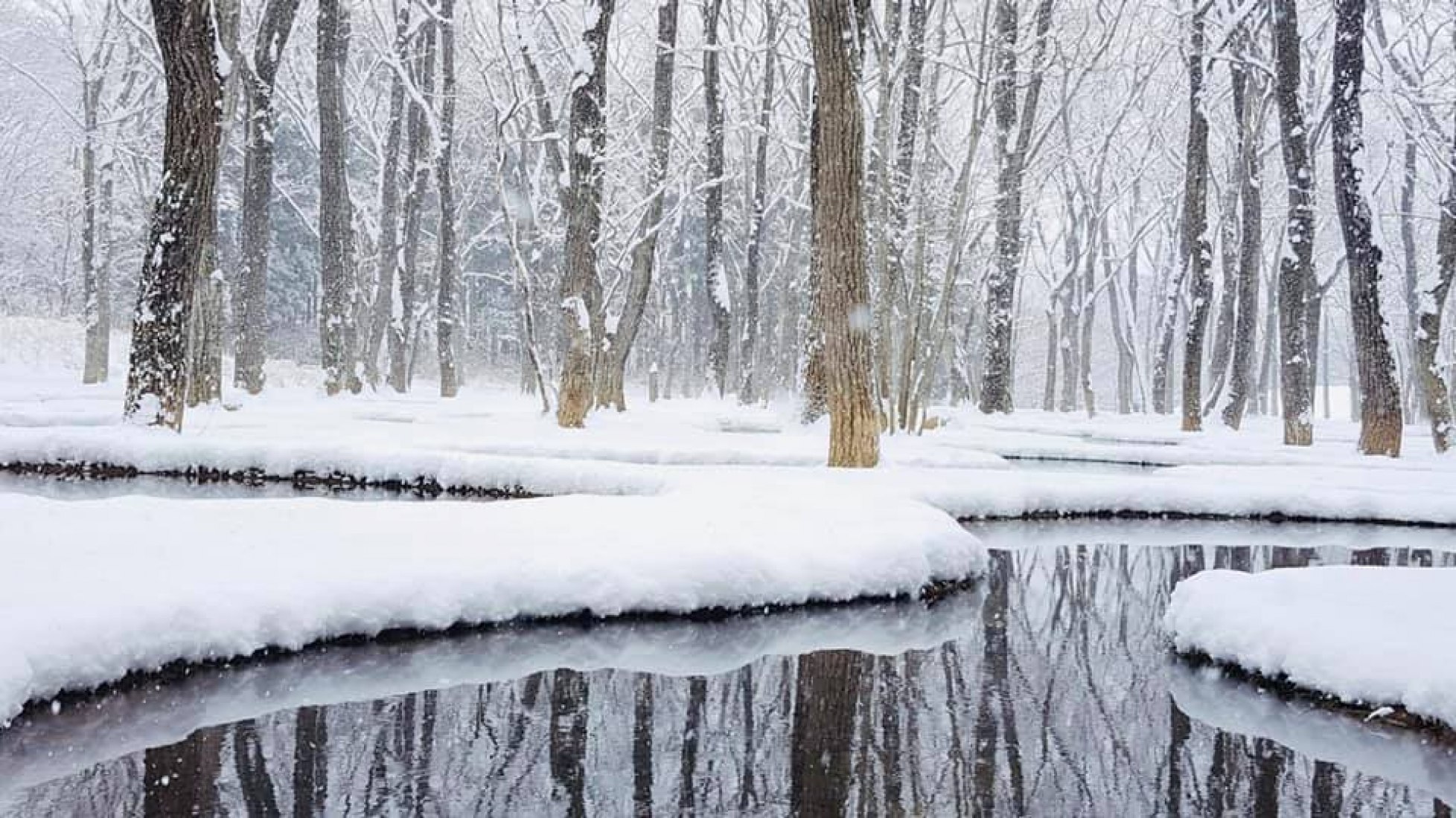 Stunning Japanese Landscape. The Water Garden by Junya Ishigami | The ...