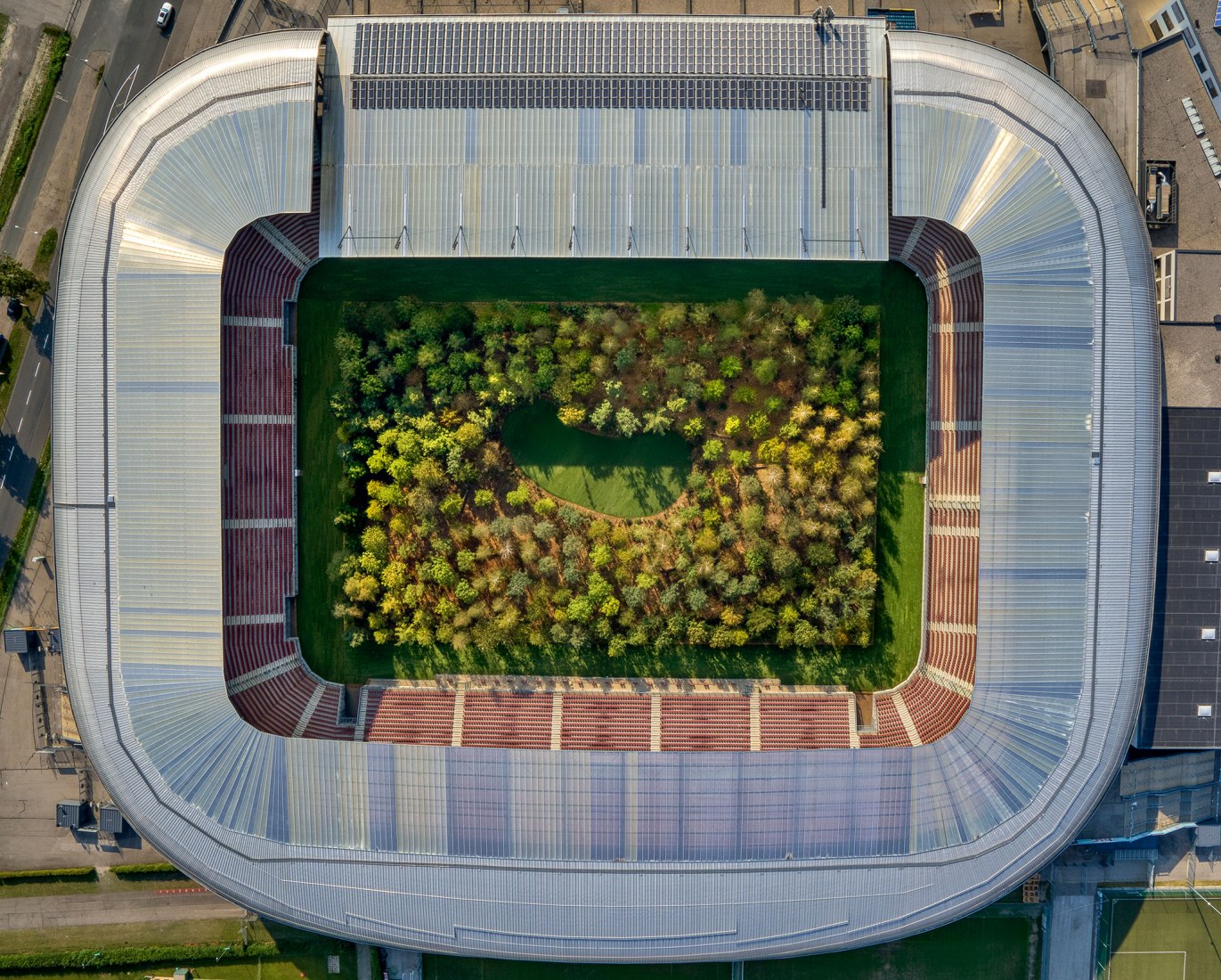 A forest on the pitch. Unending Attraction of Nature in Austrian ...