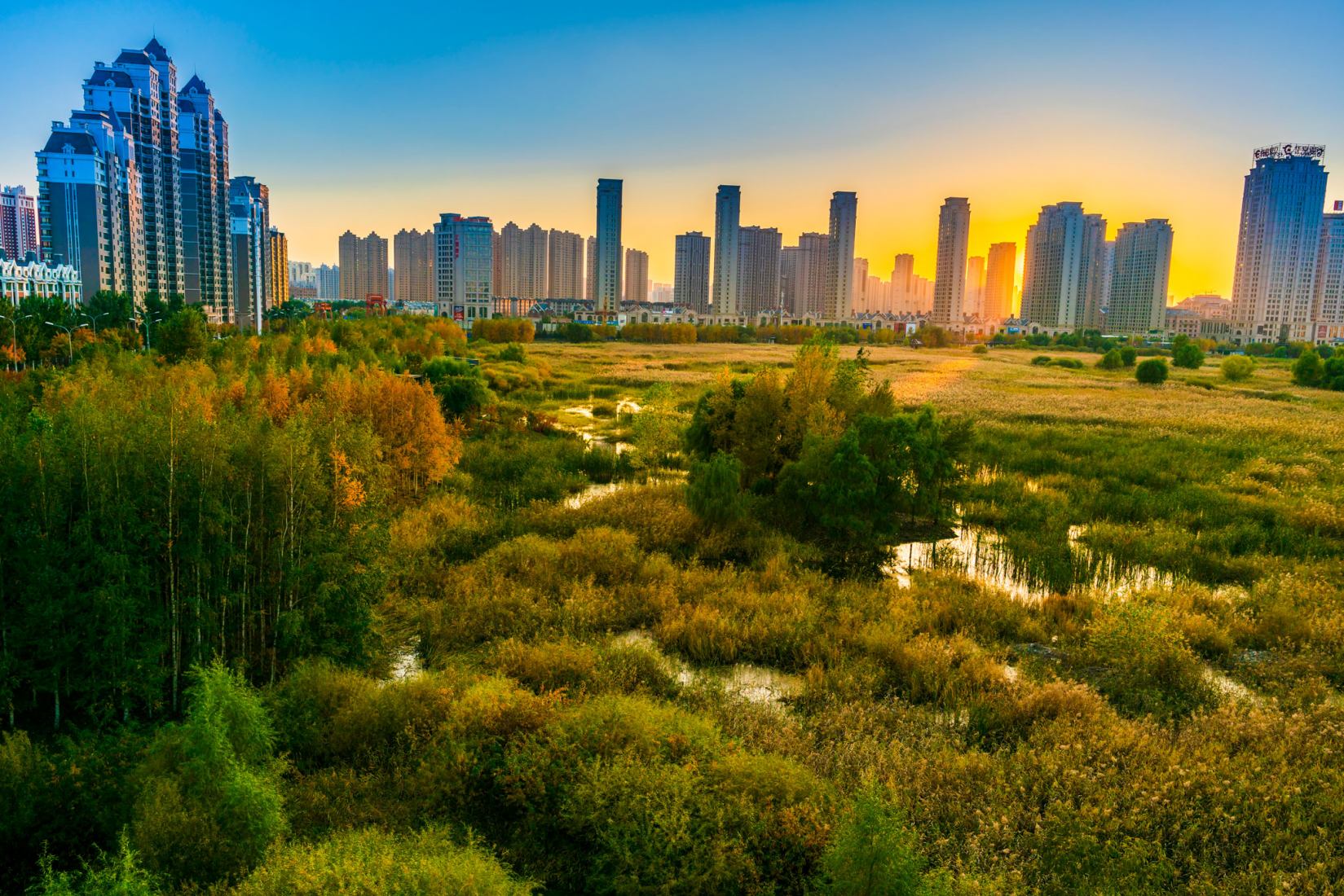 Kongjian Yu, author of the "Sponge Cities" concept, wins the Global ...