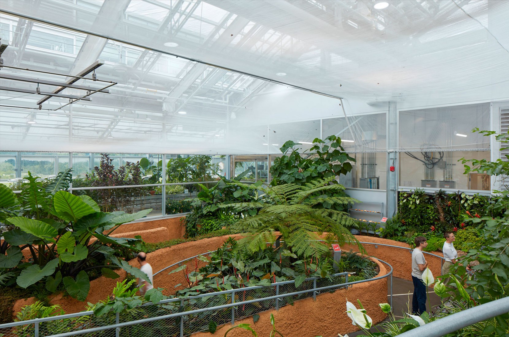 Metamorphosis of the Montreal Insectarium by Kuehn Malvezzi, Pelletier ...