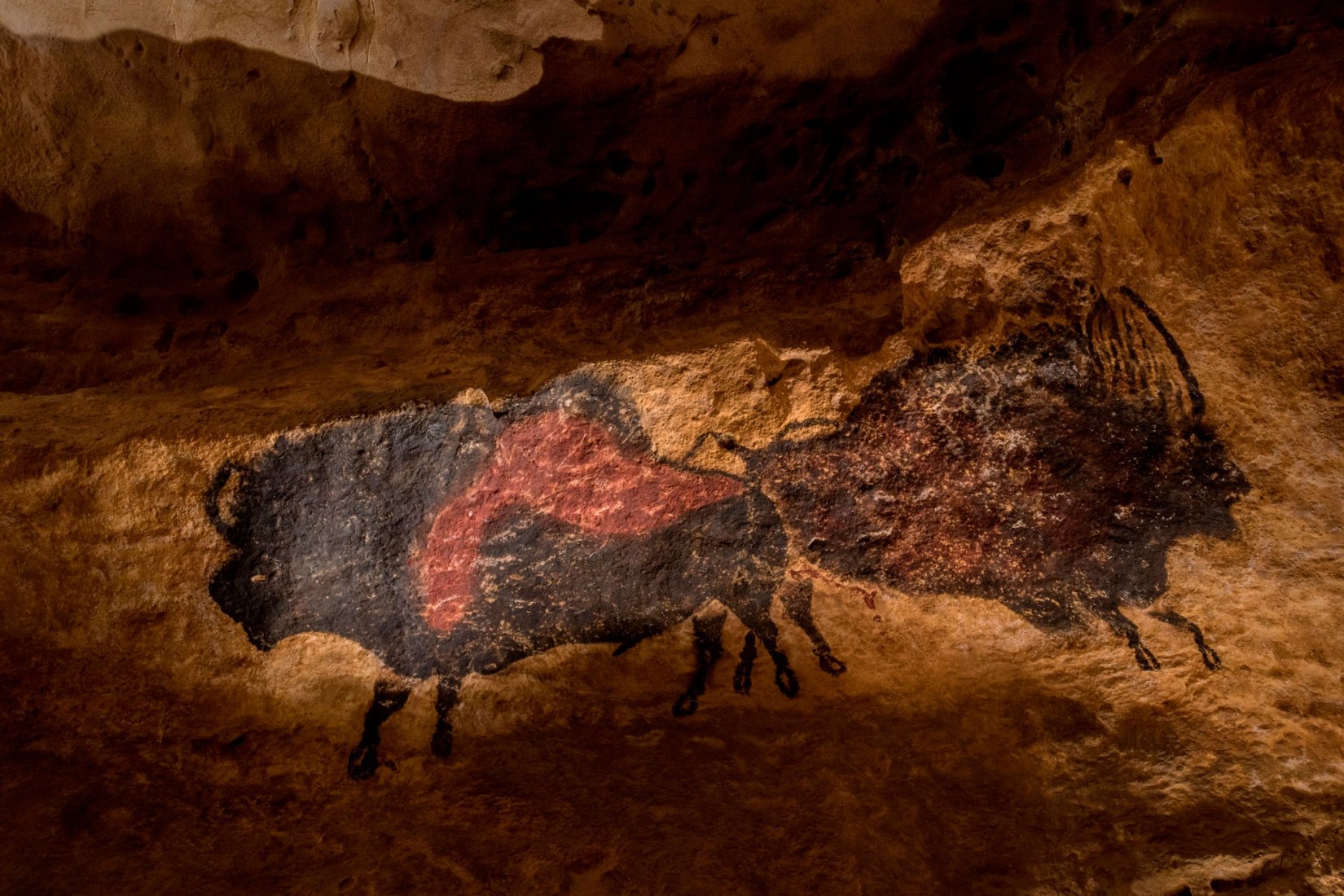 Lascaux IV Caves Museum by Snøhetta | The Strength of Architecture ...
