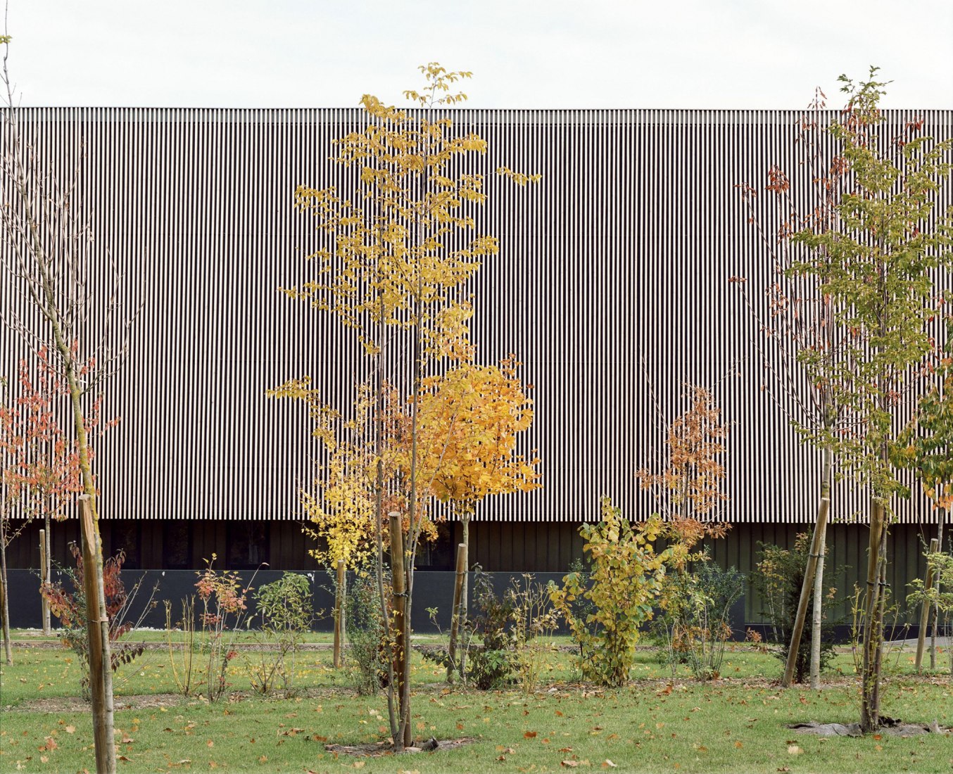 A renovated space for abstract art. Sport Center Paris by Leclercq ...