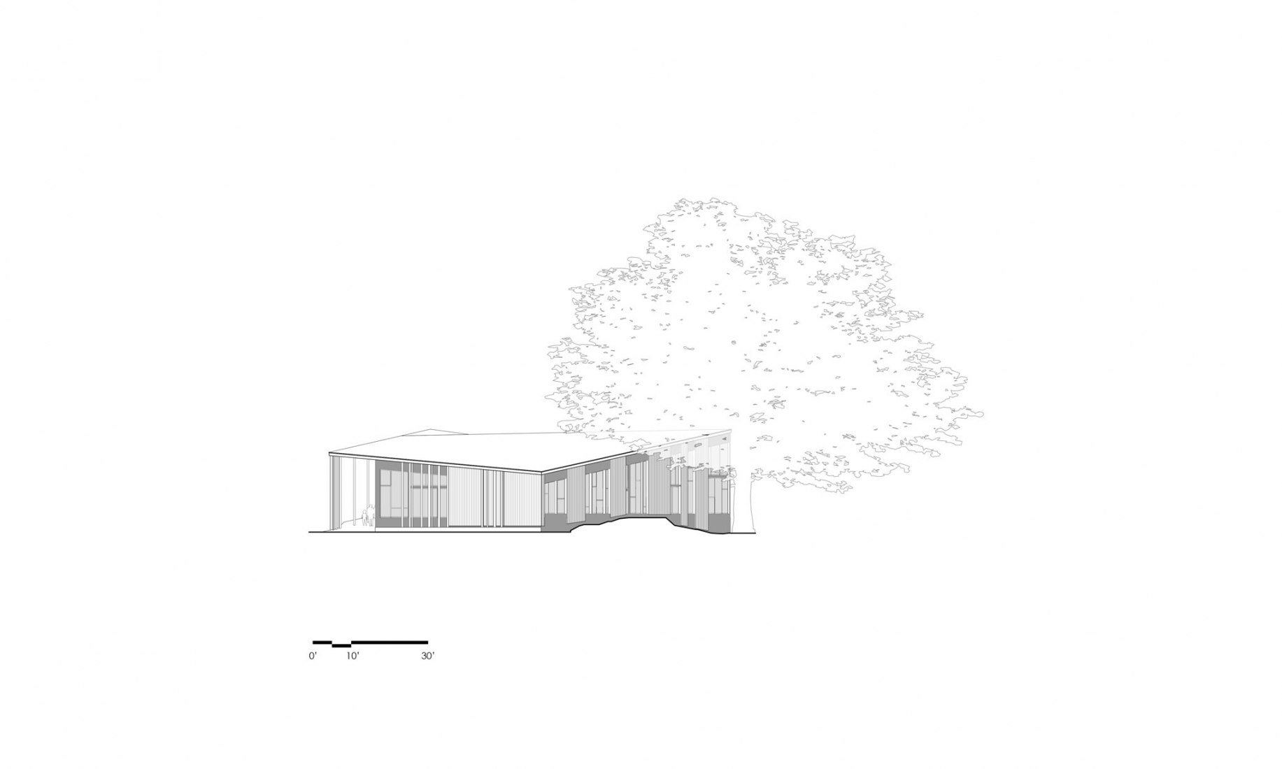 Reading under oaks. Ledding Library by Hacker architects | The Strength ...