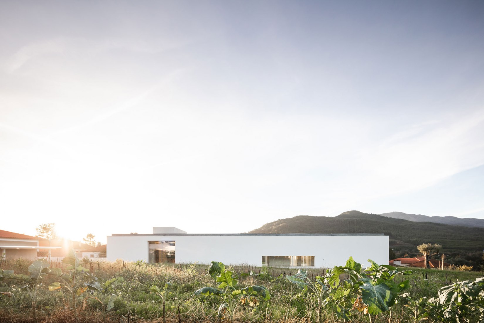 Una posición privilegiada. Casa Primus por Lopes Pertile Architects ...