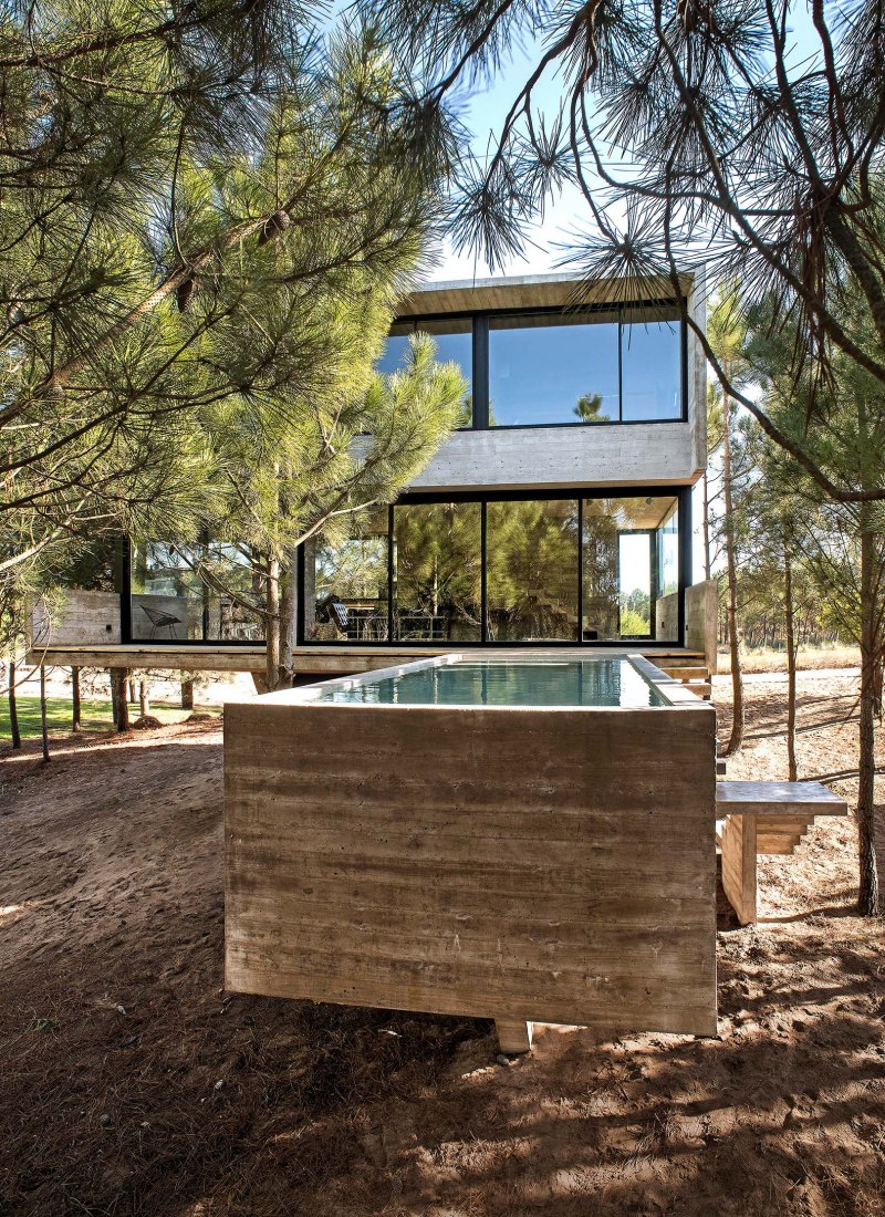 Floating among the trees with a pool. House in the trees by Luciano ...