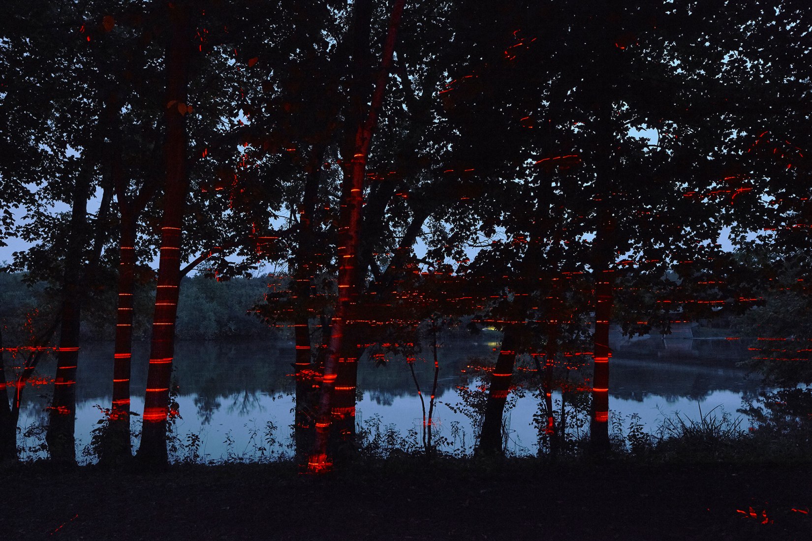 Geometry of Light at Farnsworth House by Luftwerk & Iker Gil | The ...