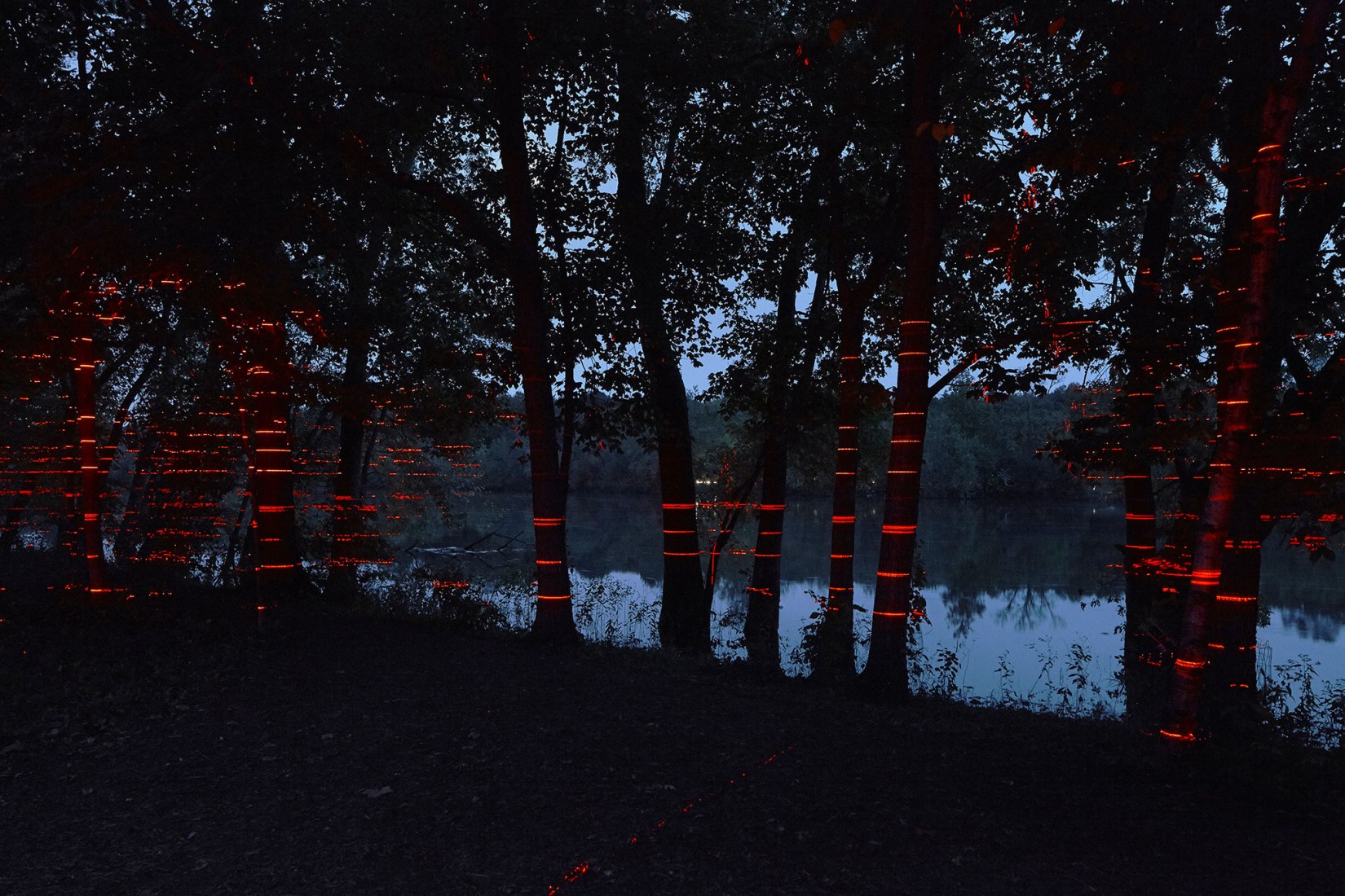 Geometry of Light en la Casa Farnsworth por Luftwerk & Iker Gil | Sobre ...