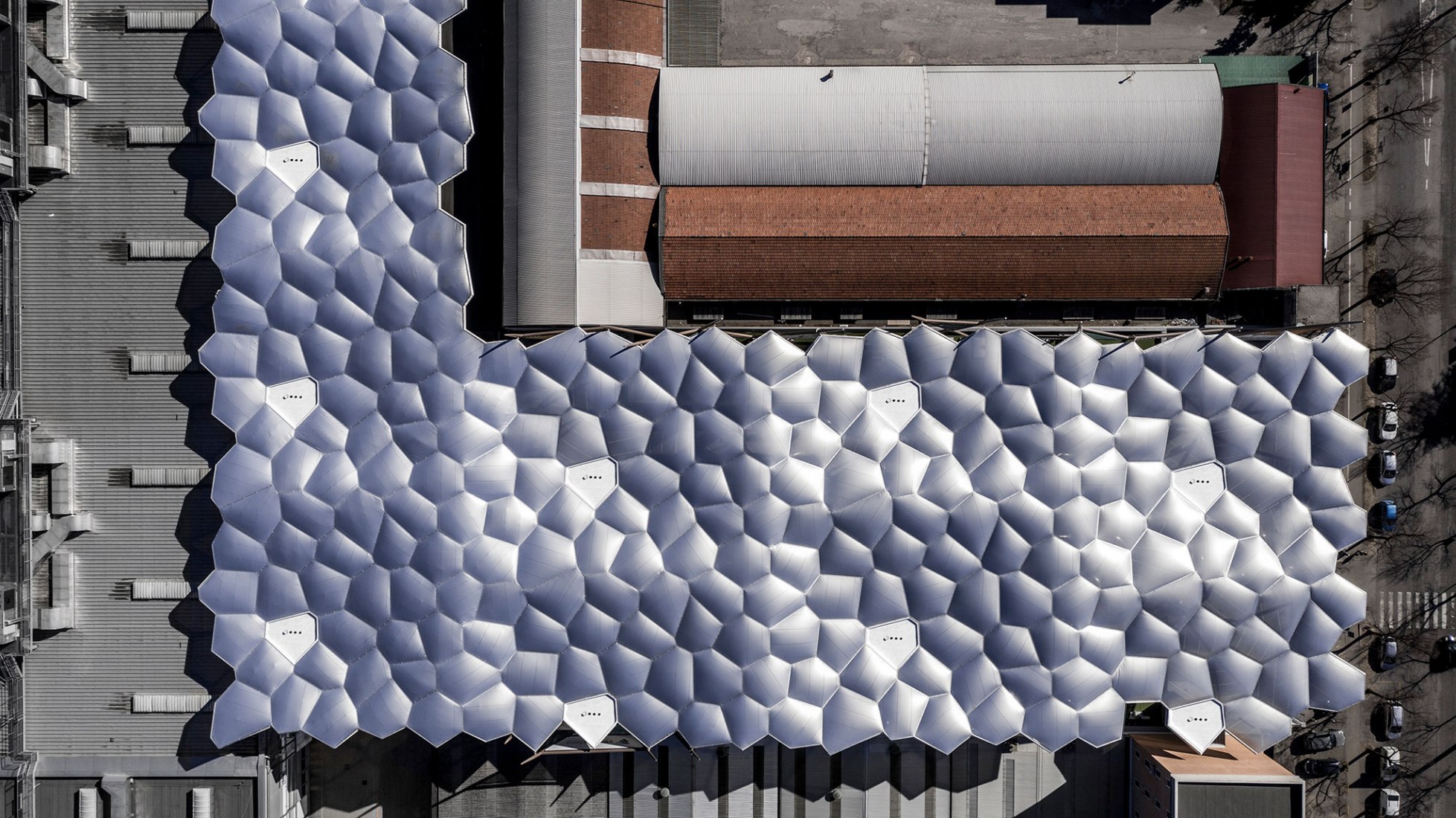 A forest of Voronoi modules with ETFE cushions. New Entrance Re Teodorico by Massimo Maffeis ...