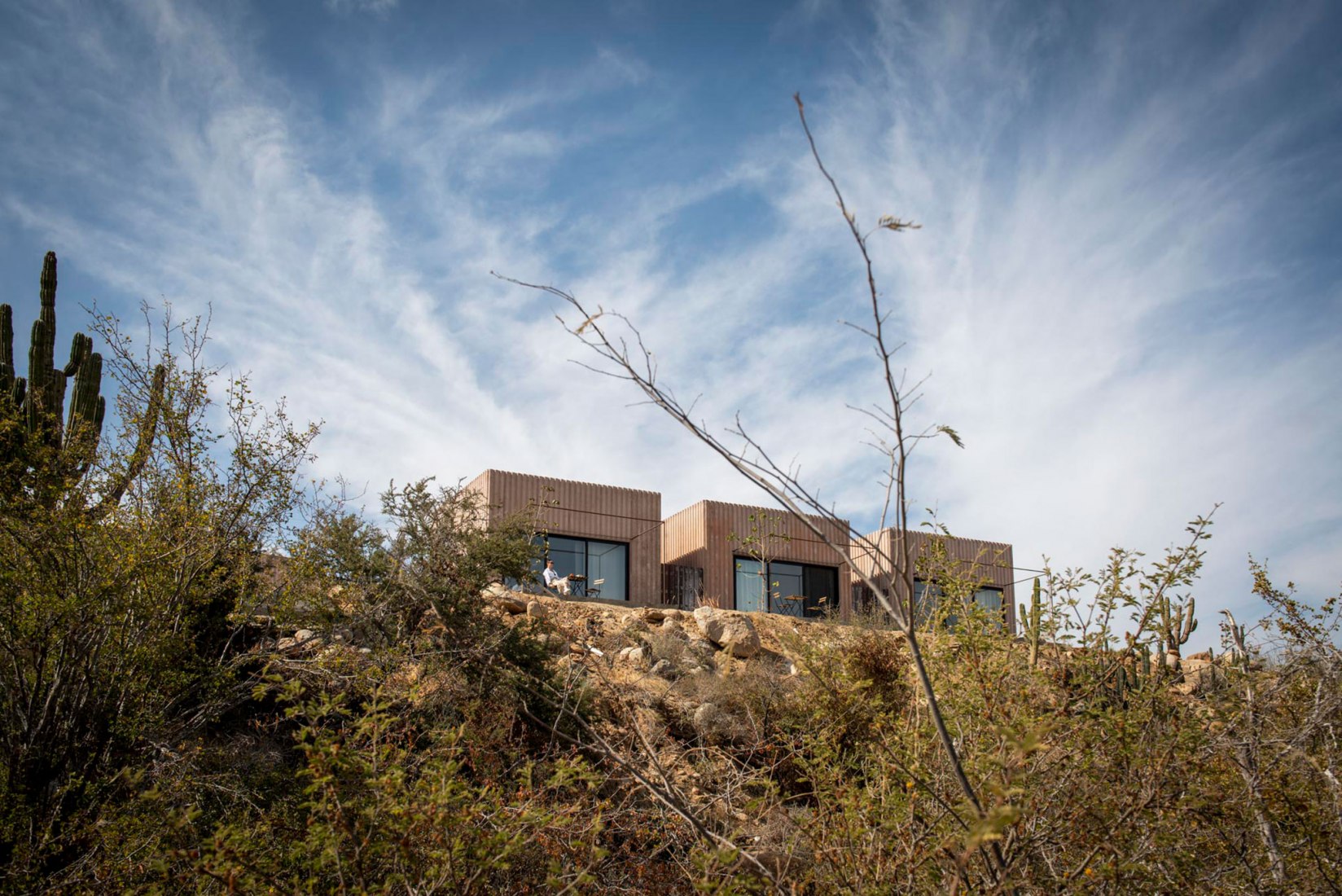 An oasis of privacy. Casa Santos by María Gómez, Héctor Coss and ...