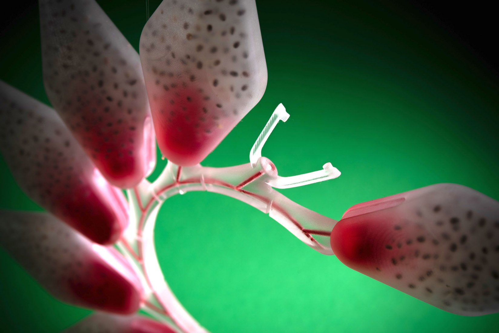 Neo Fruit by Meydan Levy. Suggested for future food consumption | The ...