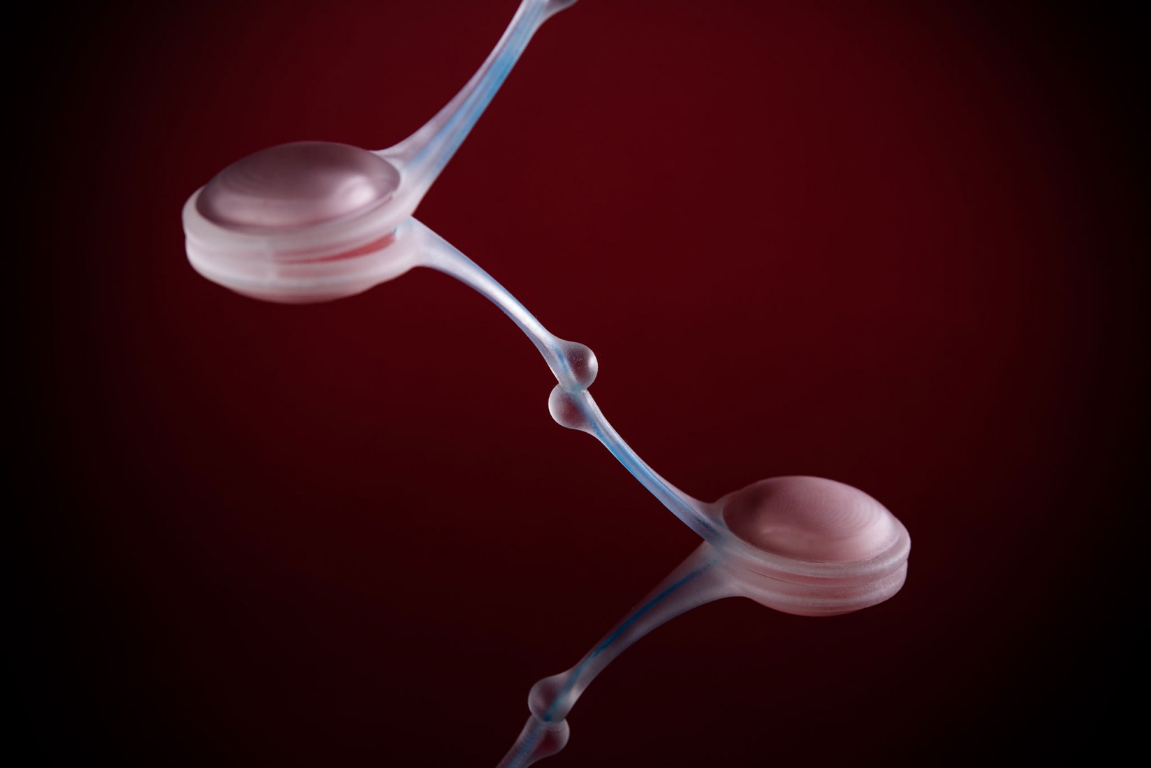 Neo Fruit by Meydan Levy. Suggested for future food consumption | The ...