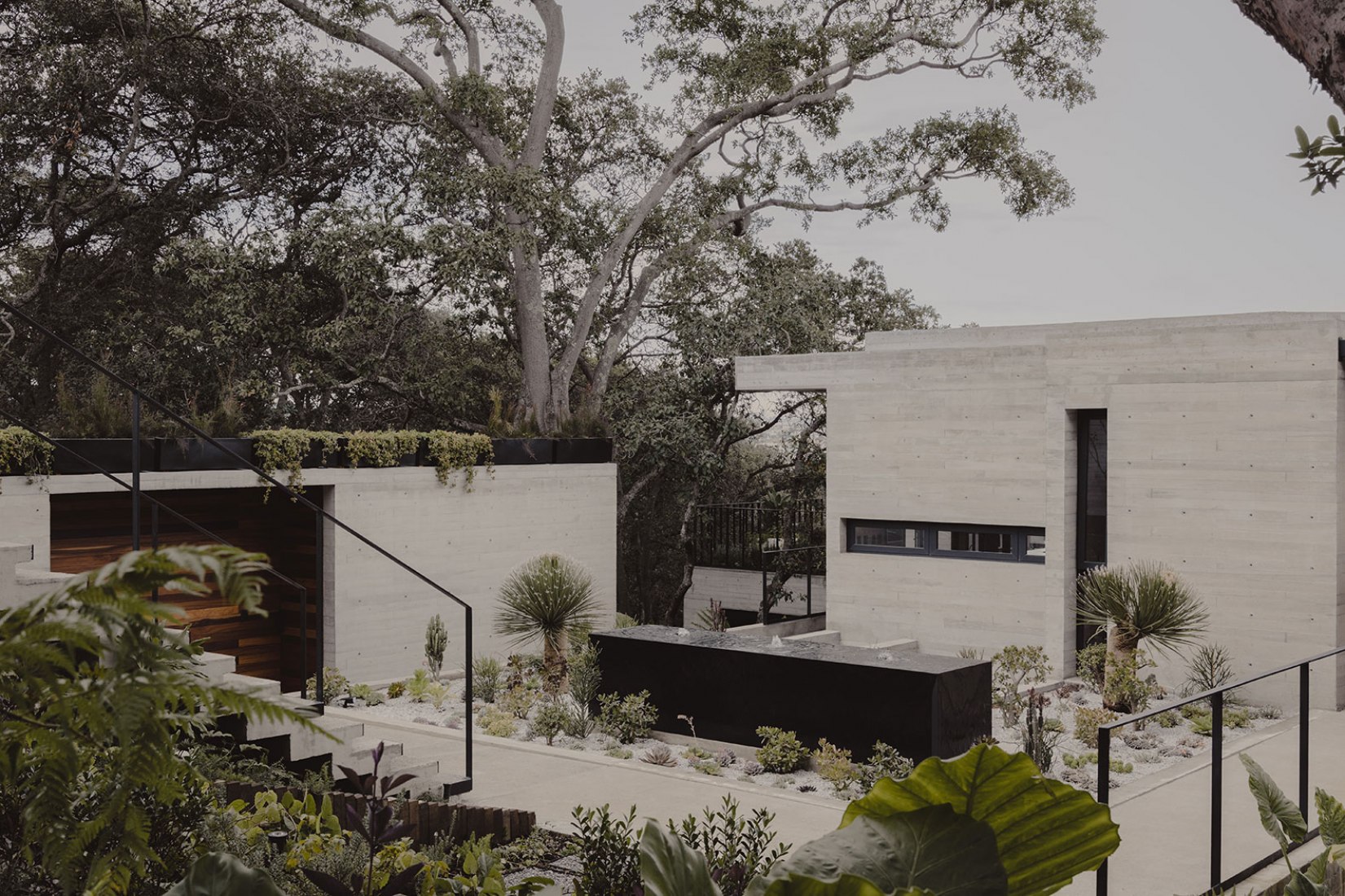 Considering it’s natural environment. AYG house by Miguel de la Torre ...