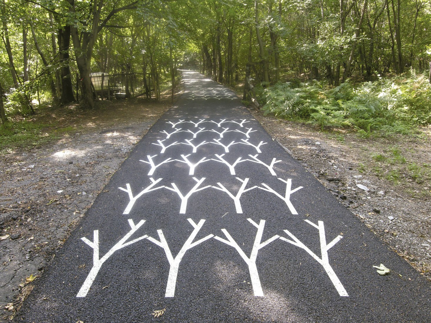 Open air museum of historical cycling race slope in Muro di Sormano by ...