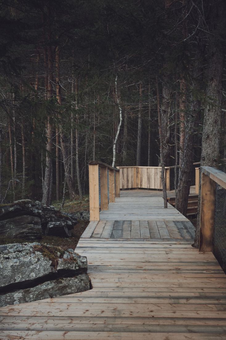 A walkway in the forest, as a space for art. Okulus by Rintala ...