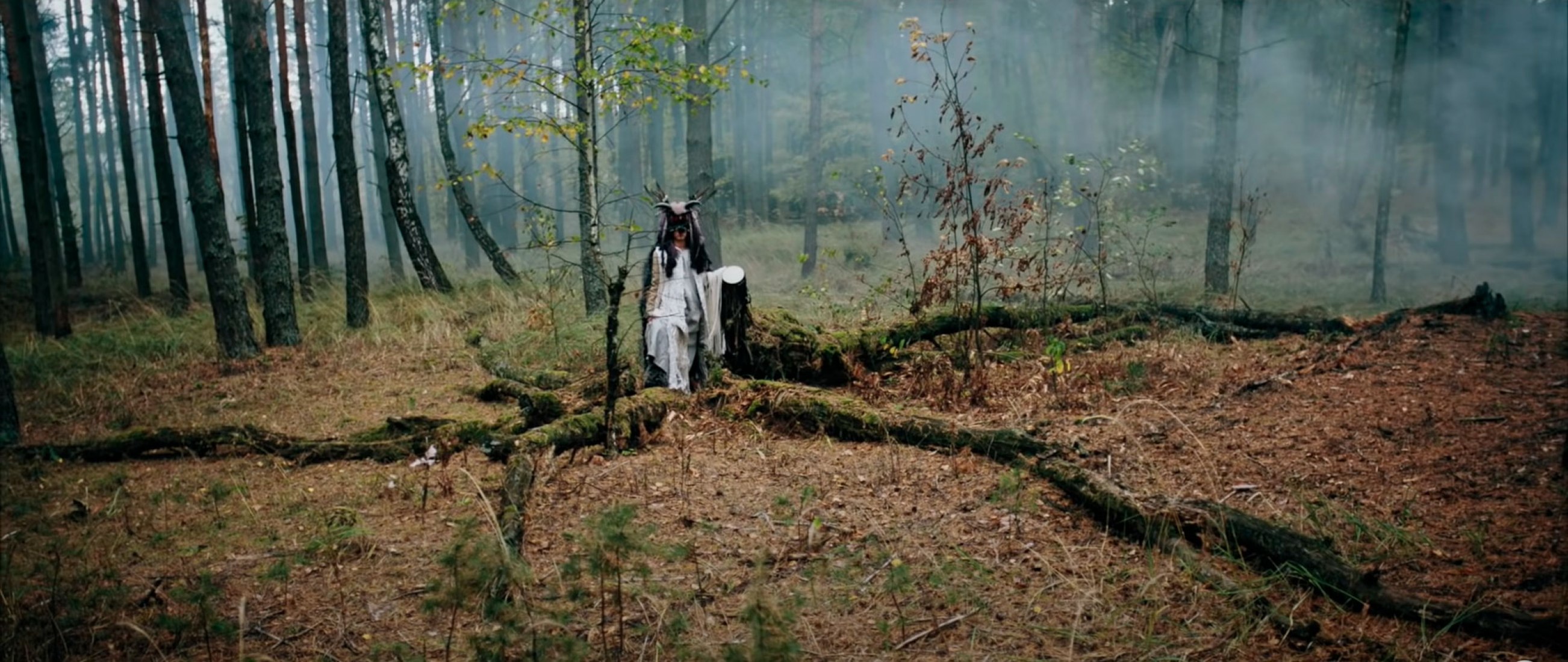 The beauty of the world around us. Zenit by Onuka | The Strength of ...
