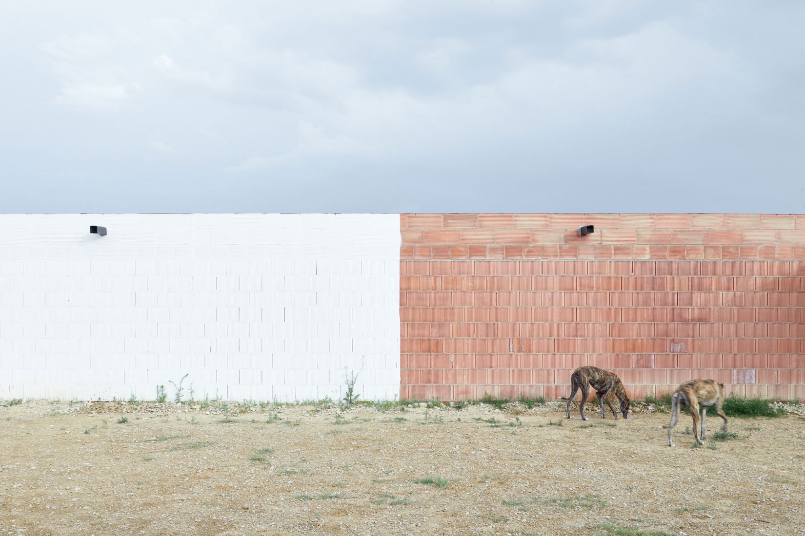 New animal shelter for ADPCA in Zaragoza by Pérez + Usabiaga ...