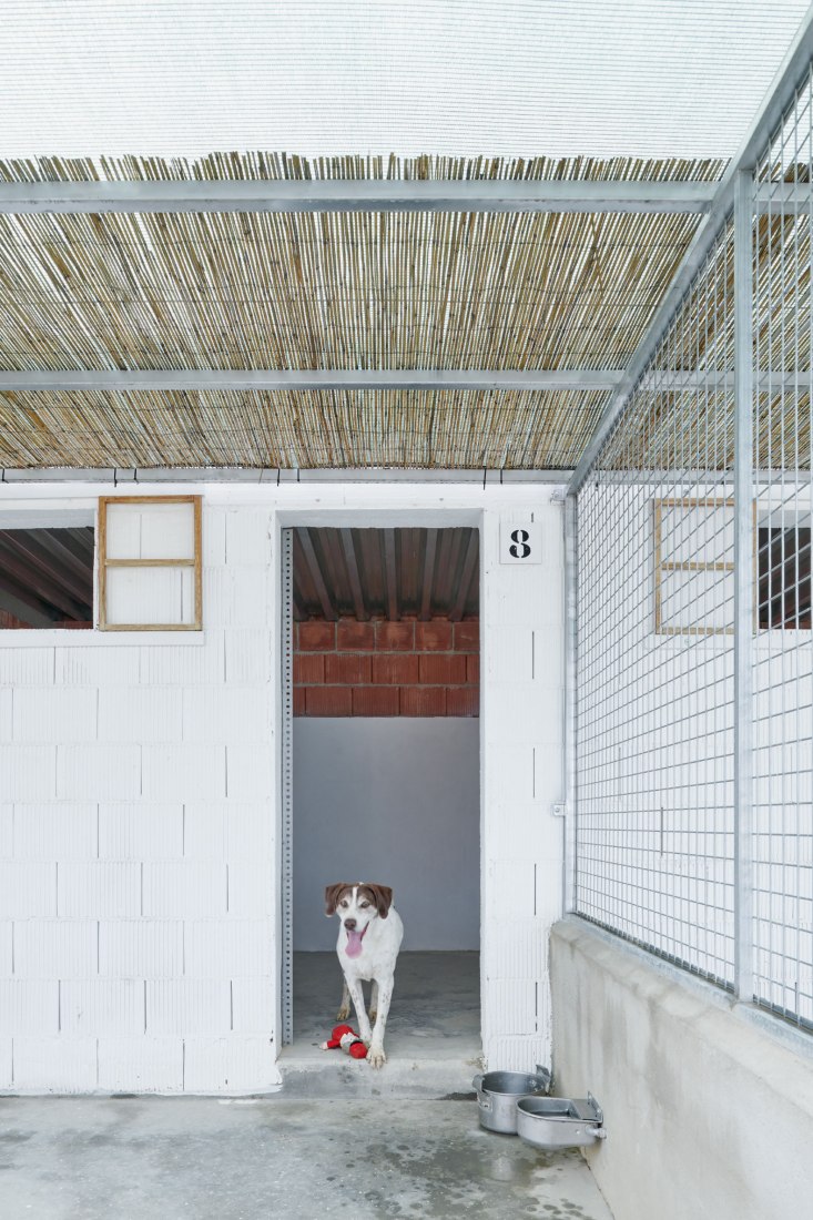 Nuevo refugio de animales para A.D.P.C.A. en Zaragoza por Pérez ...