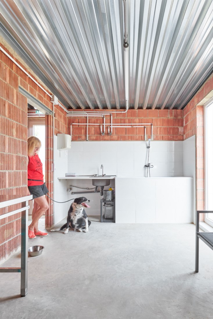 Nuevo refugio de animales para A.D.P.C.A. en Zaragoza por Pérez ...