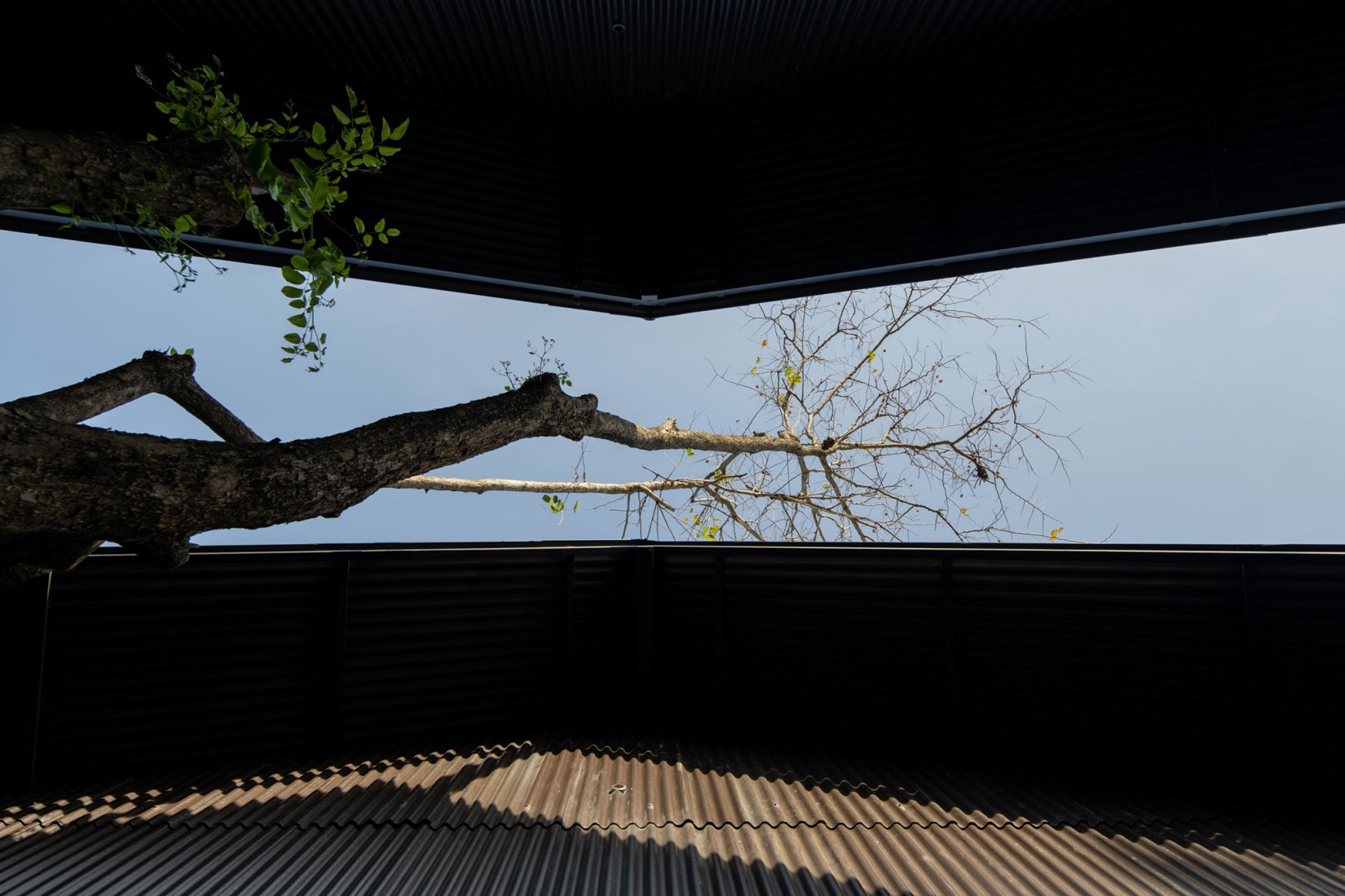 Vernacular architecture. Budget house in Angthong by PHTAA Living ...