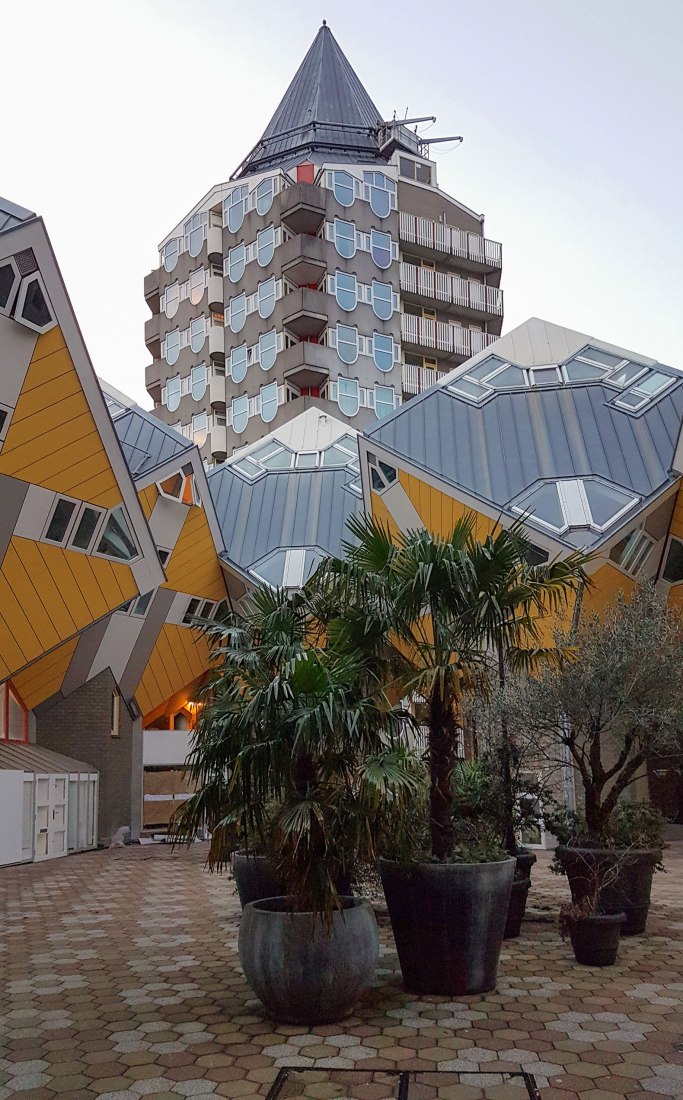 Residential urban forest in the heart of Rotterdam. Kubuswoningen by ...