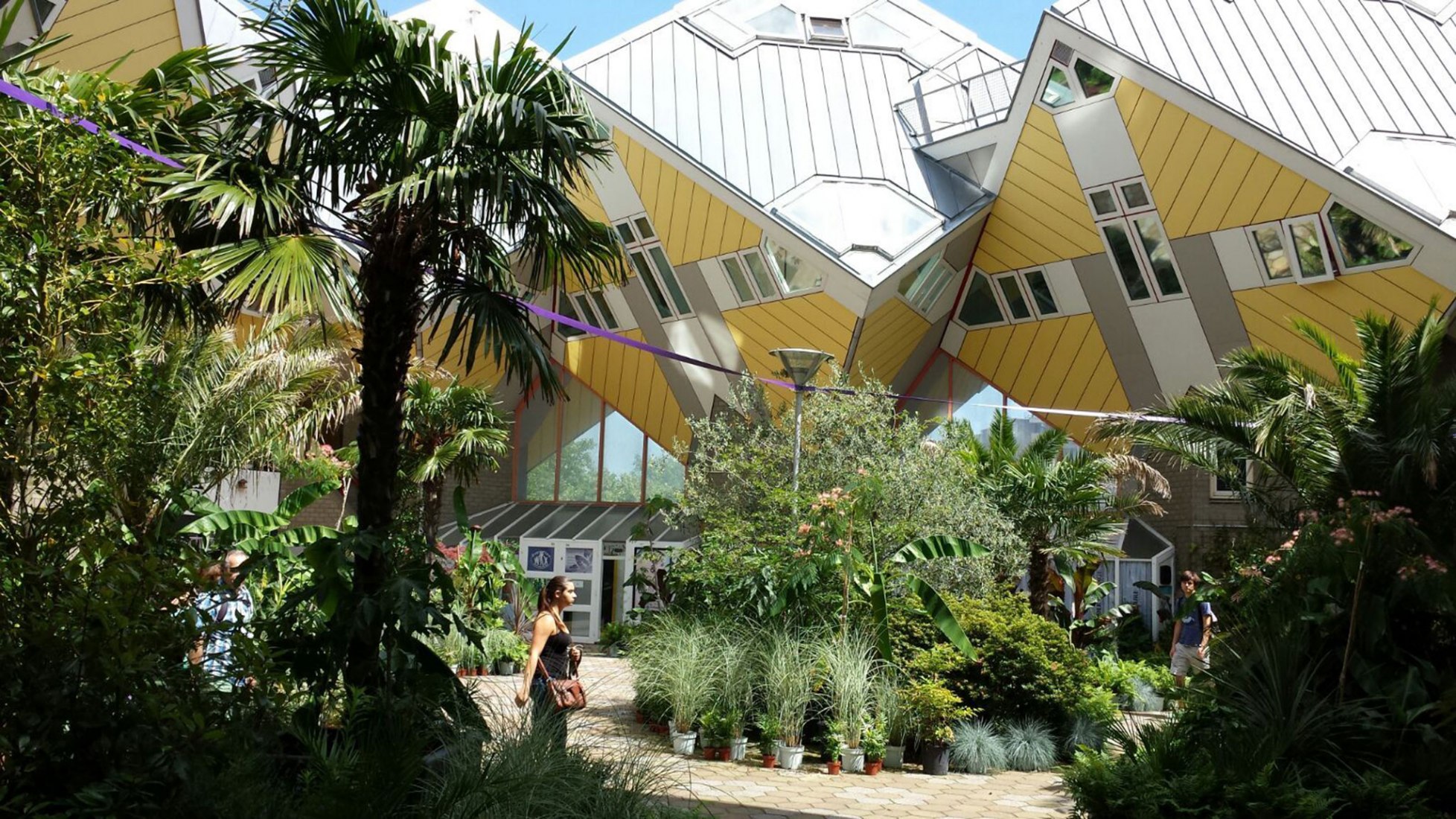 Residential urban forest in the heart of Rotterdam. Kubuswoningen by ...