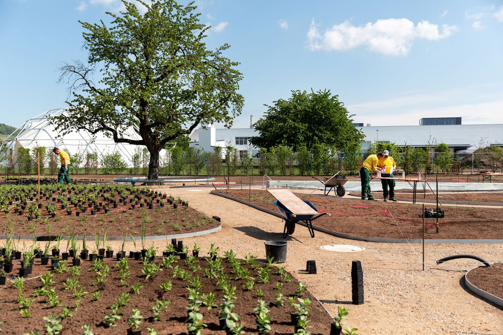 A garden by Piet Oudolf, a new project at Vitra Campus | The Strength ...