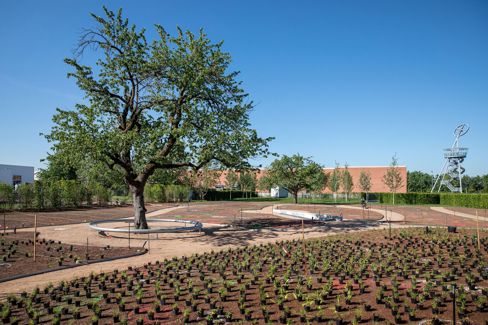 A garden by Piet Oudolf, a new project at Vitra Campus | The Strength ...