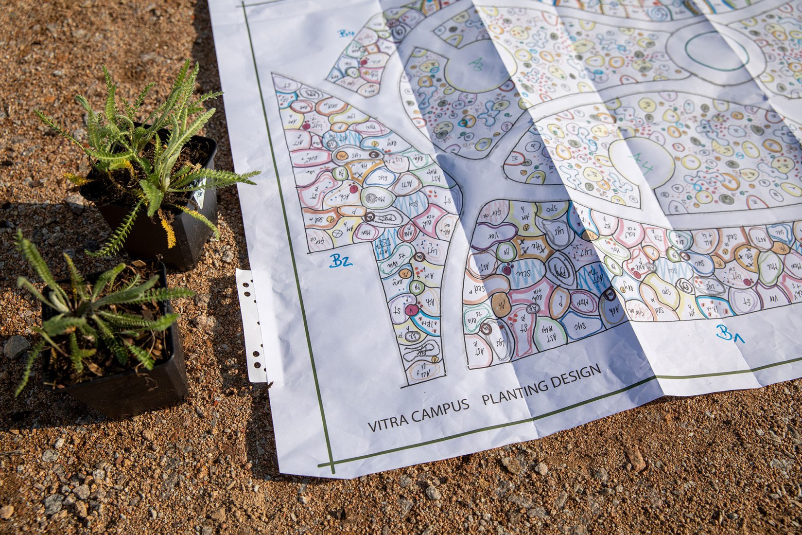 A garden by Piet Oudolf, a new project at Vitra Campus | The Strength ...
