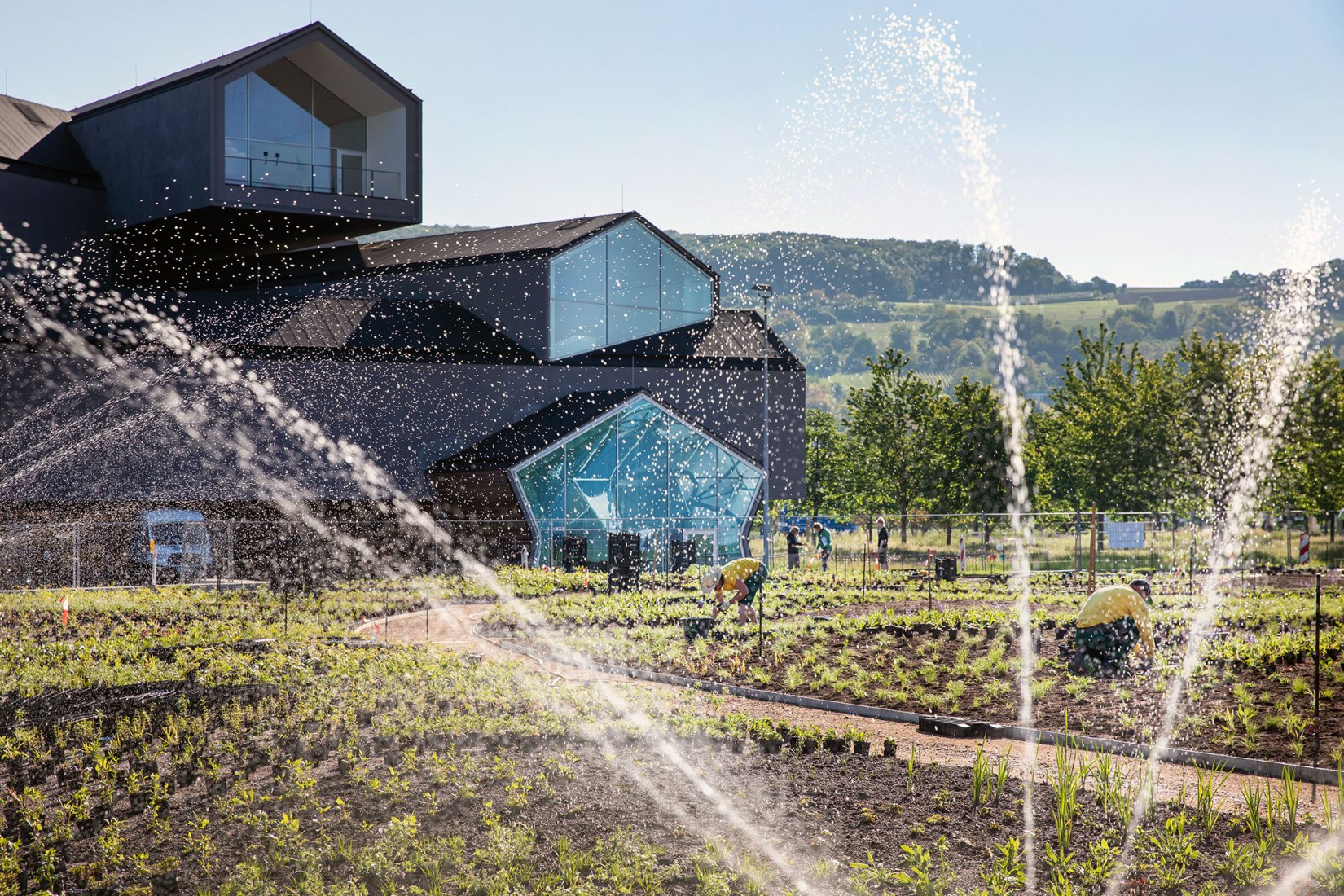 A garden by Piet Oudolf, a new project at Vitra Campus | The Strength ...