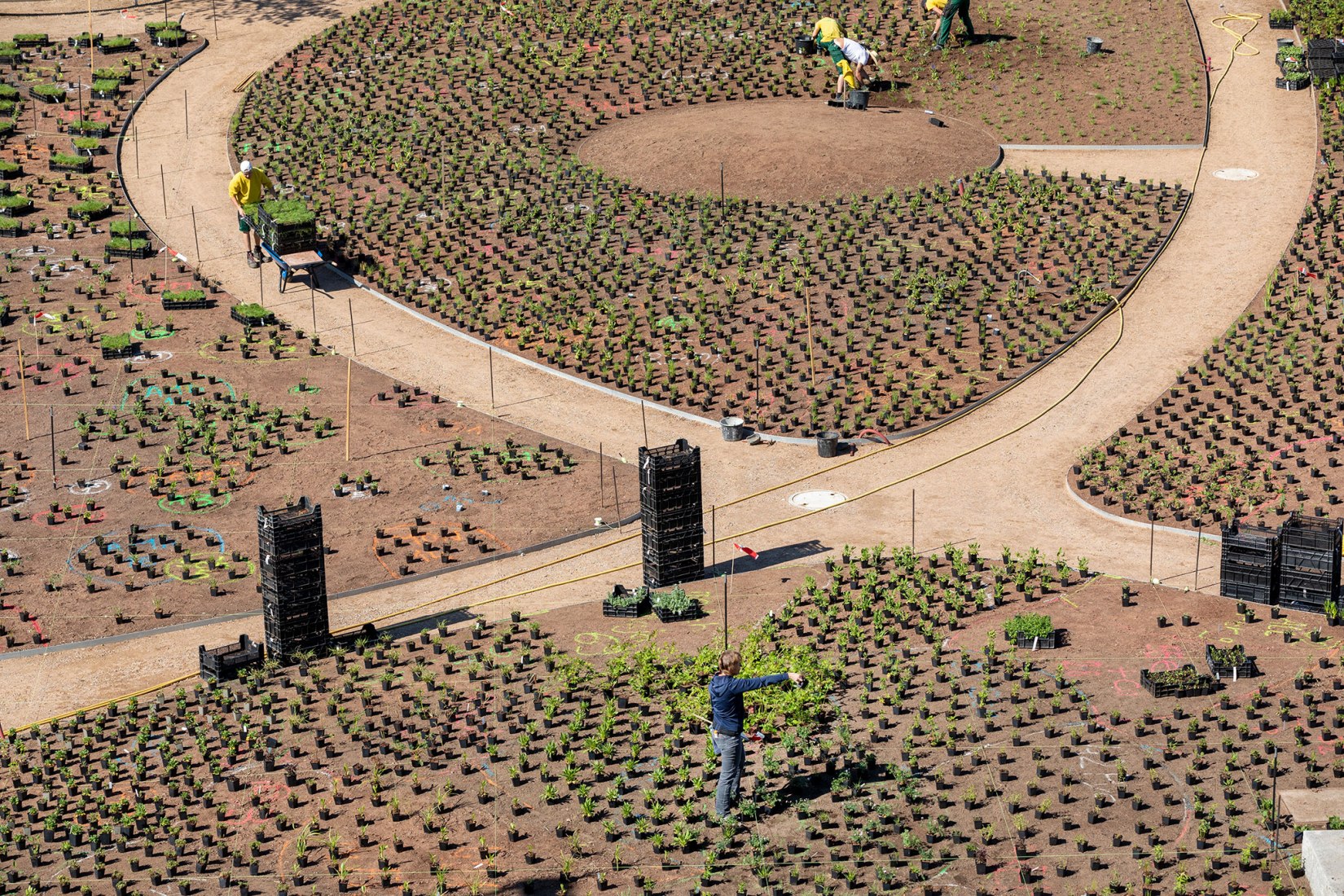 A garden by Piet Oudolf, a new project at Vitra Campus | The Strength ...