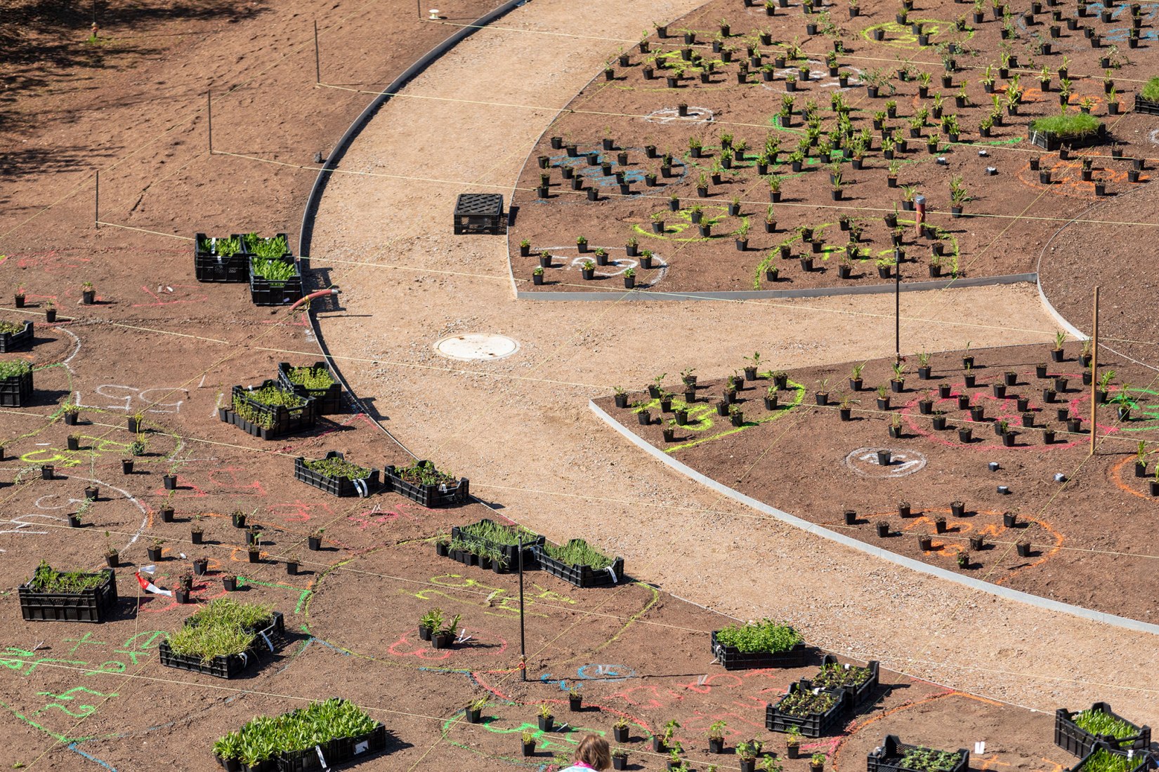 A garden by Piet Oudolf, a new project at Vitra Campus | The Strength ...