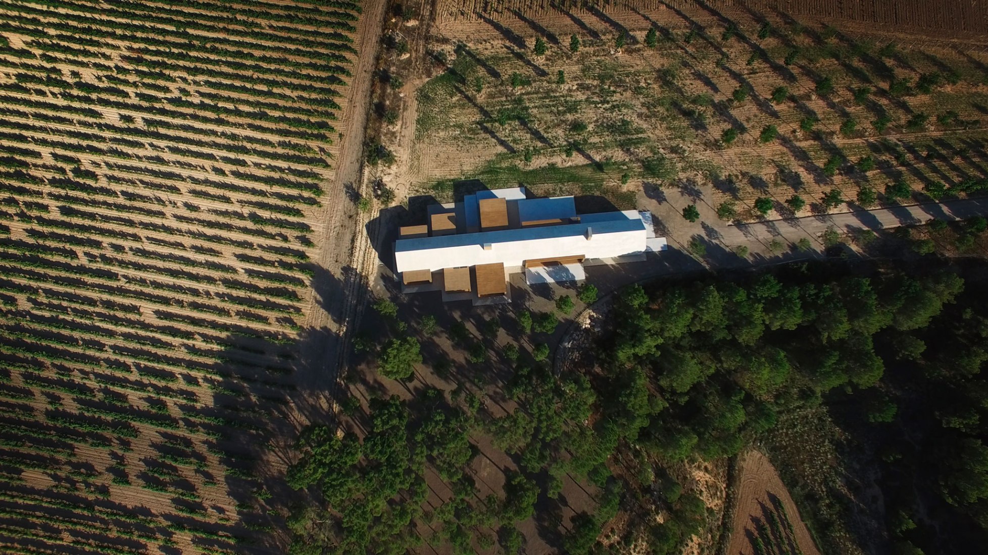 Reshaping the Landscape. Cottage in the Vineyard by Ramón Esteve ...