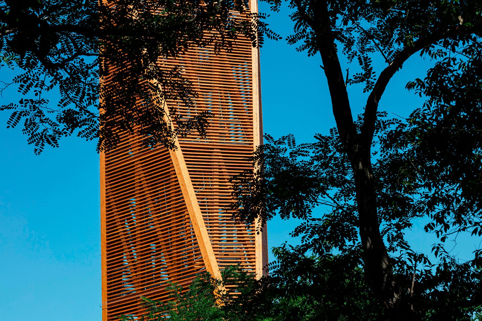 Sculptural presence in nature. Lookout Tower by Robert Gutowski ...