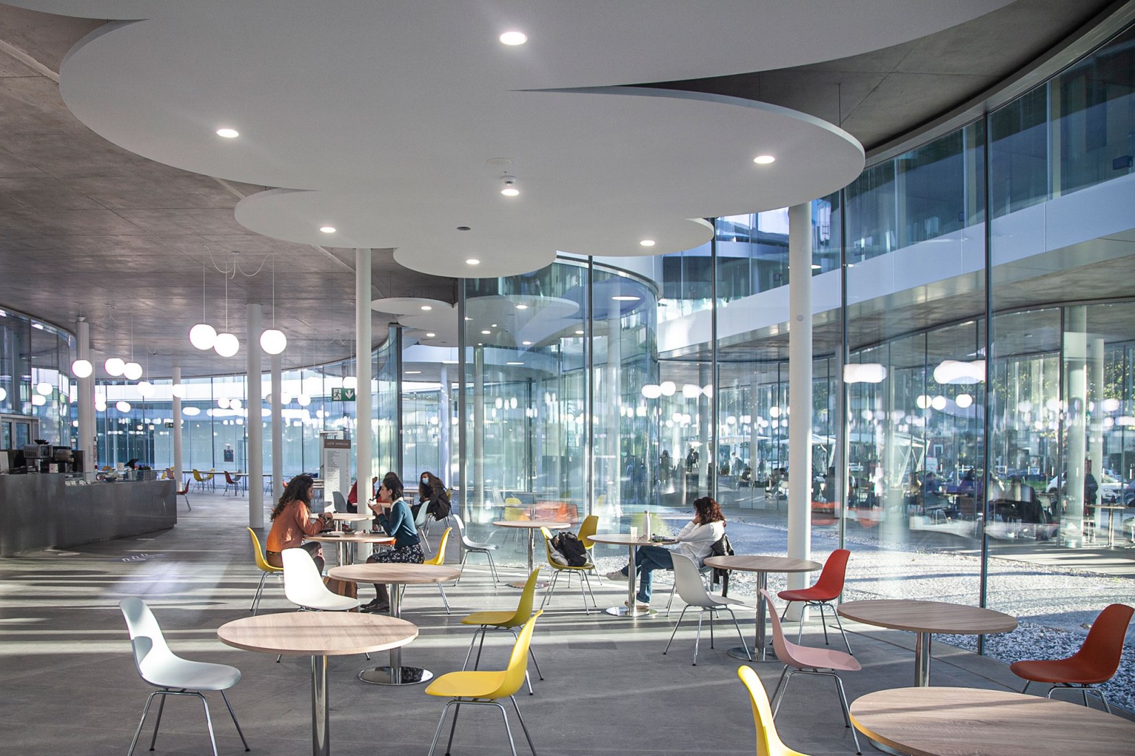 Entre lo órganico y lo sinuoso. Nuevo Campus Urbano para la Universidad ...