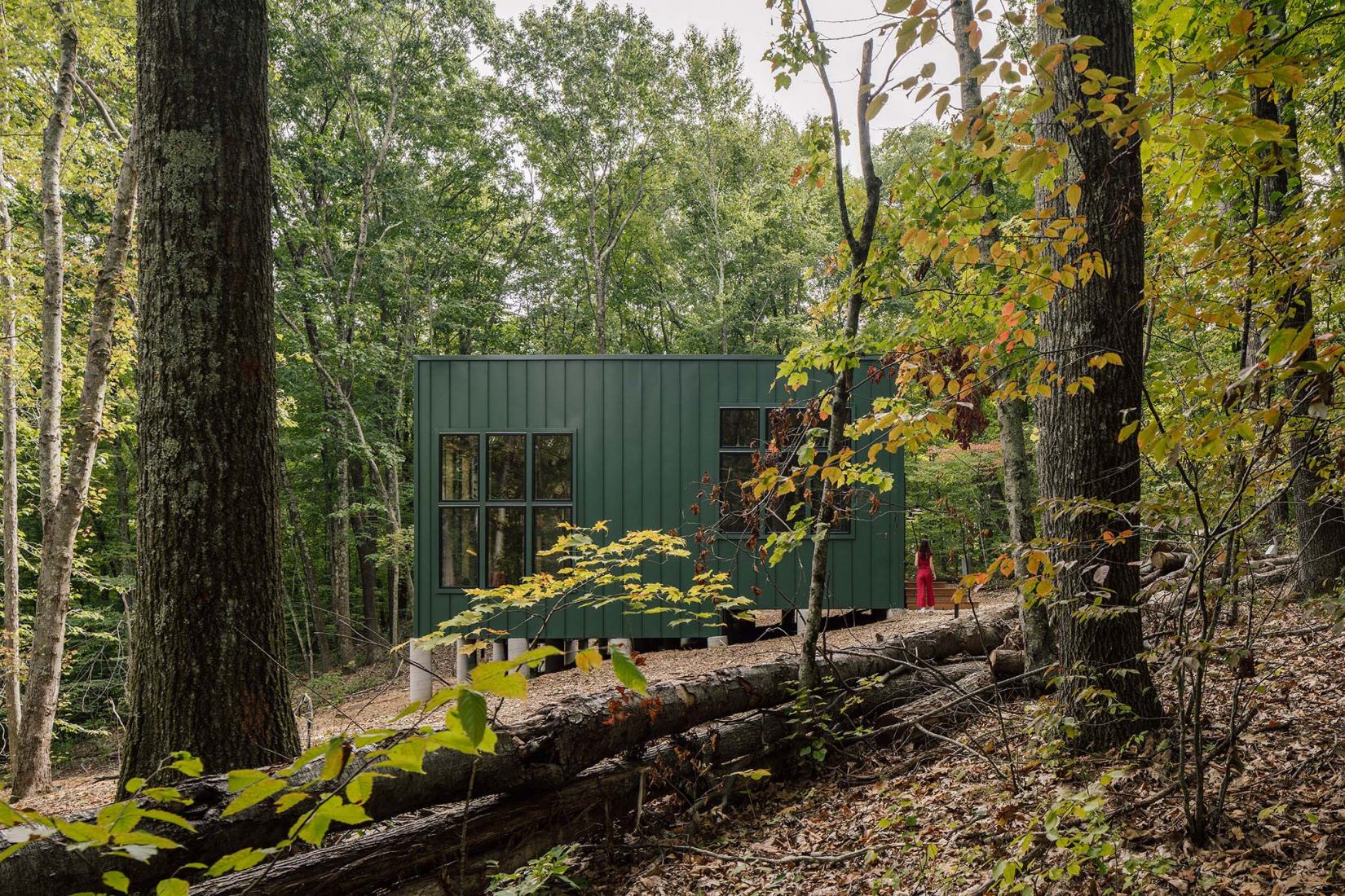 The scale of space such as a measure to look at nature. Forest Retreat ...