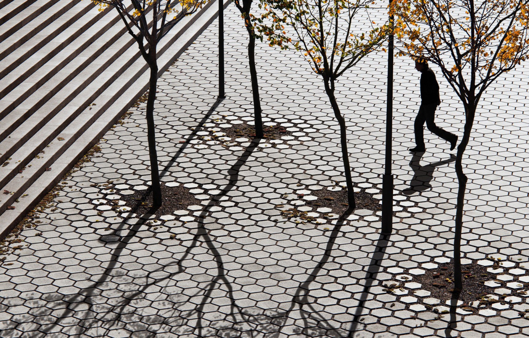 Adoquines hexagonales y permeables. Sistema de pavimento Asak Flyt por ...